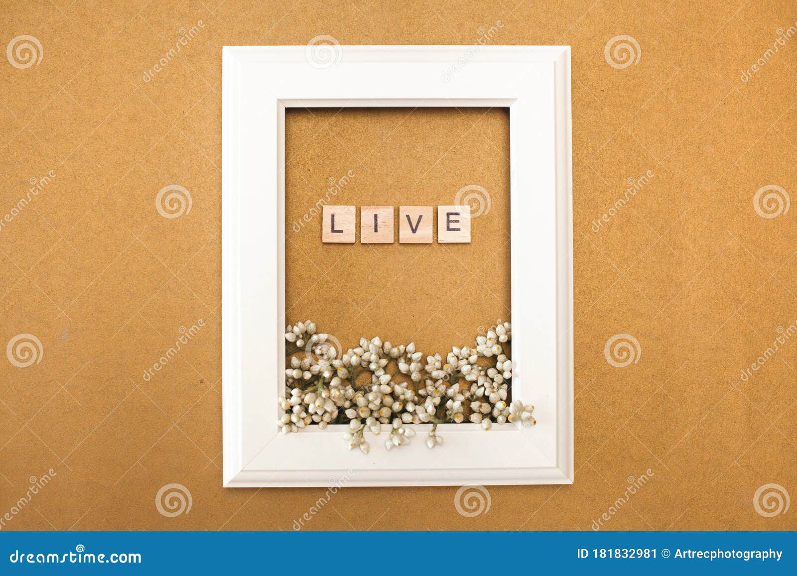 Live Sign in White Frame with Spring Flowers Stock Image - Image of ...