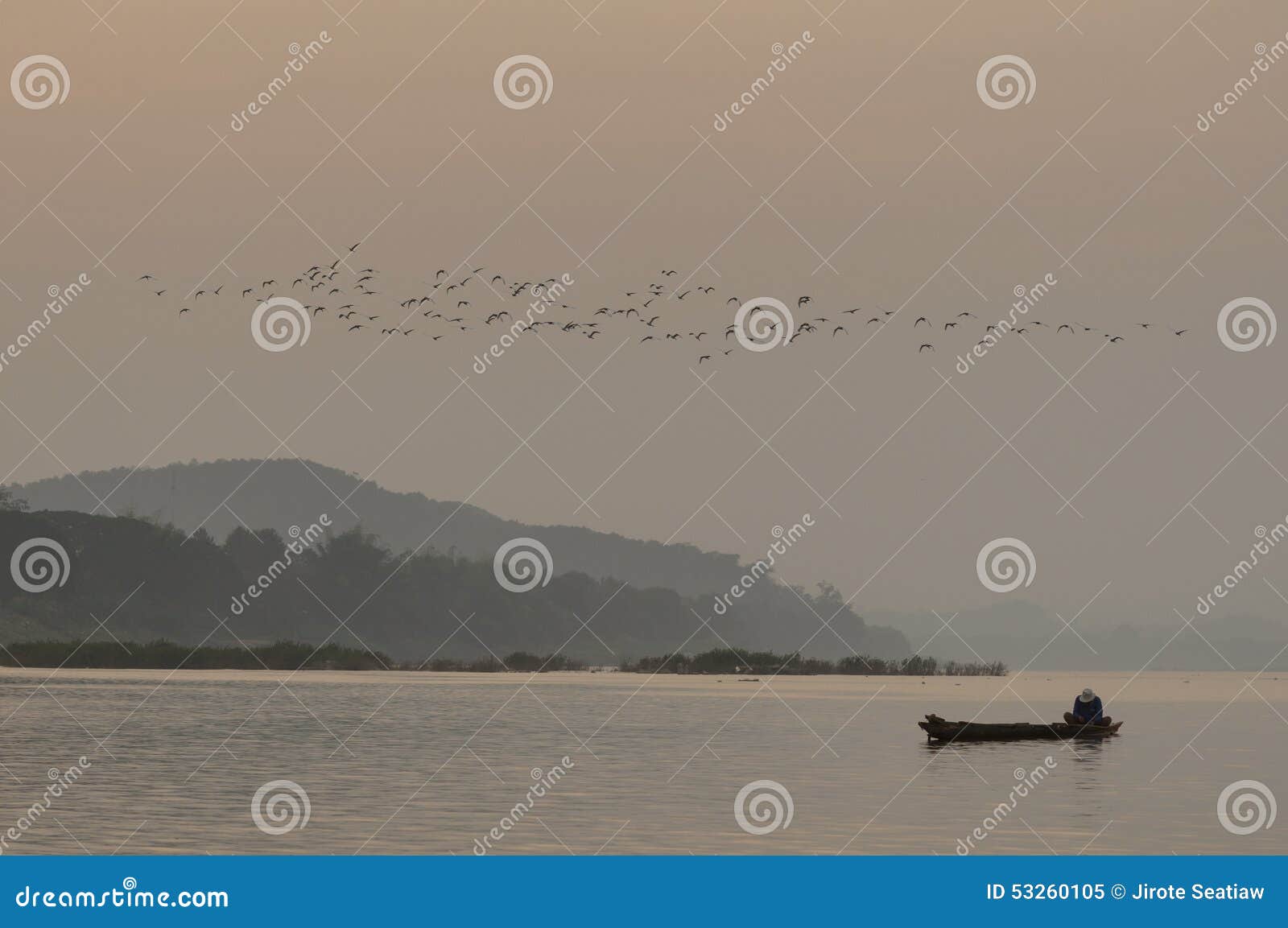 Live together with nature stock image. Image of forest - 53260105