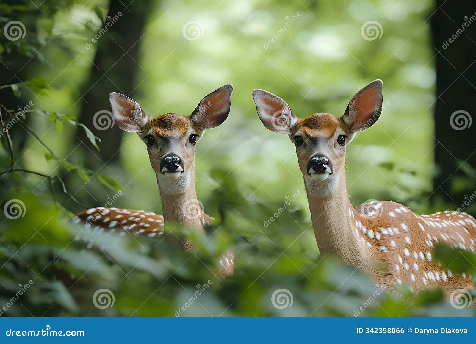 Lively Forest: Wildlife Thriving in Ecosystem Stock Illustration ...
