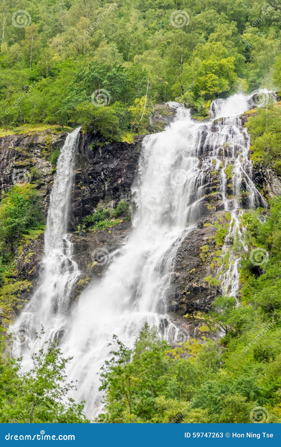 A Lively Waterfall Flowing Down the Rocks in the Forest Framed by Trees ...