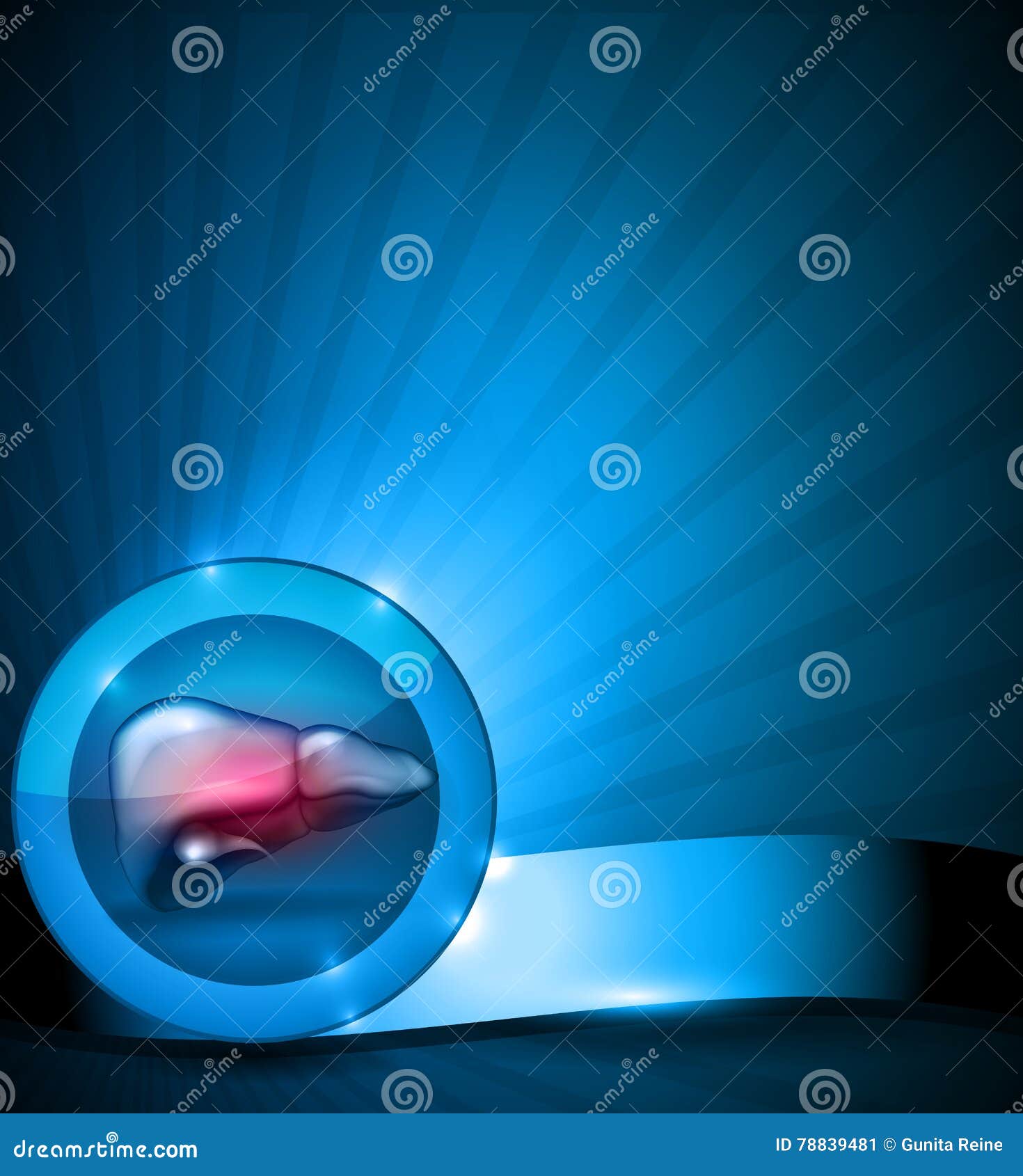 Liver Anatomy Set. Hepatic System Organ Lobule And Hepatocyte Vector ...