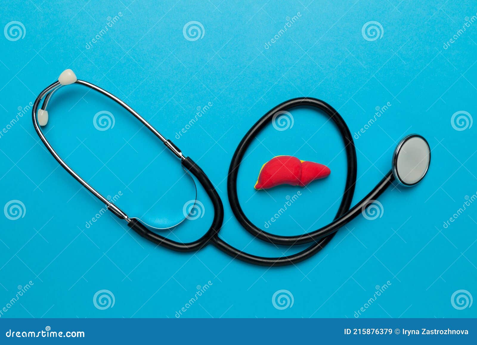 Liver Cirrhosis and Recovery from Illness. Liver Model in Hands Stock ...