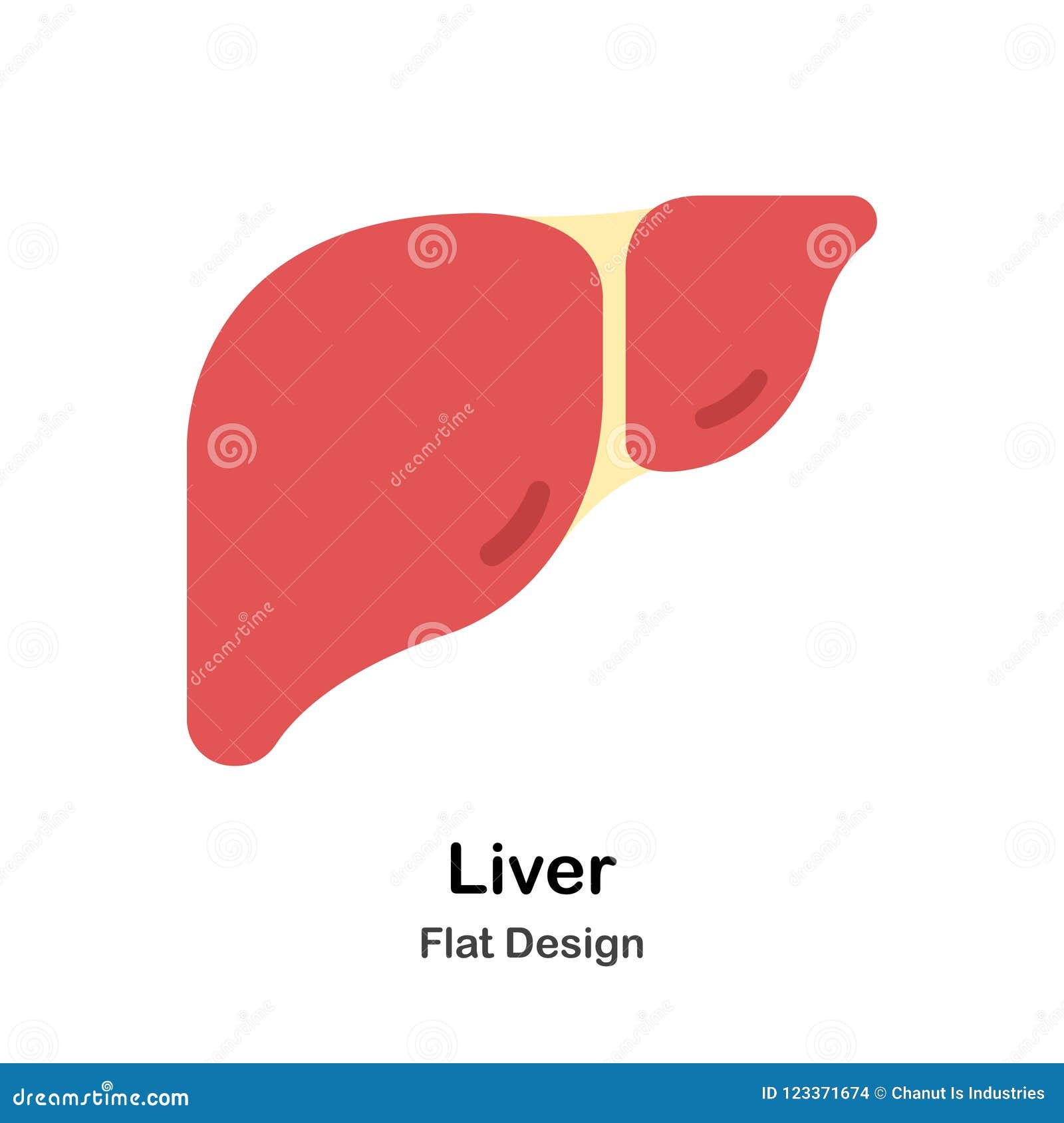 Liver Flat Illustration stock vector. Illustration of vital - 123371674