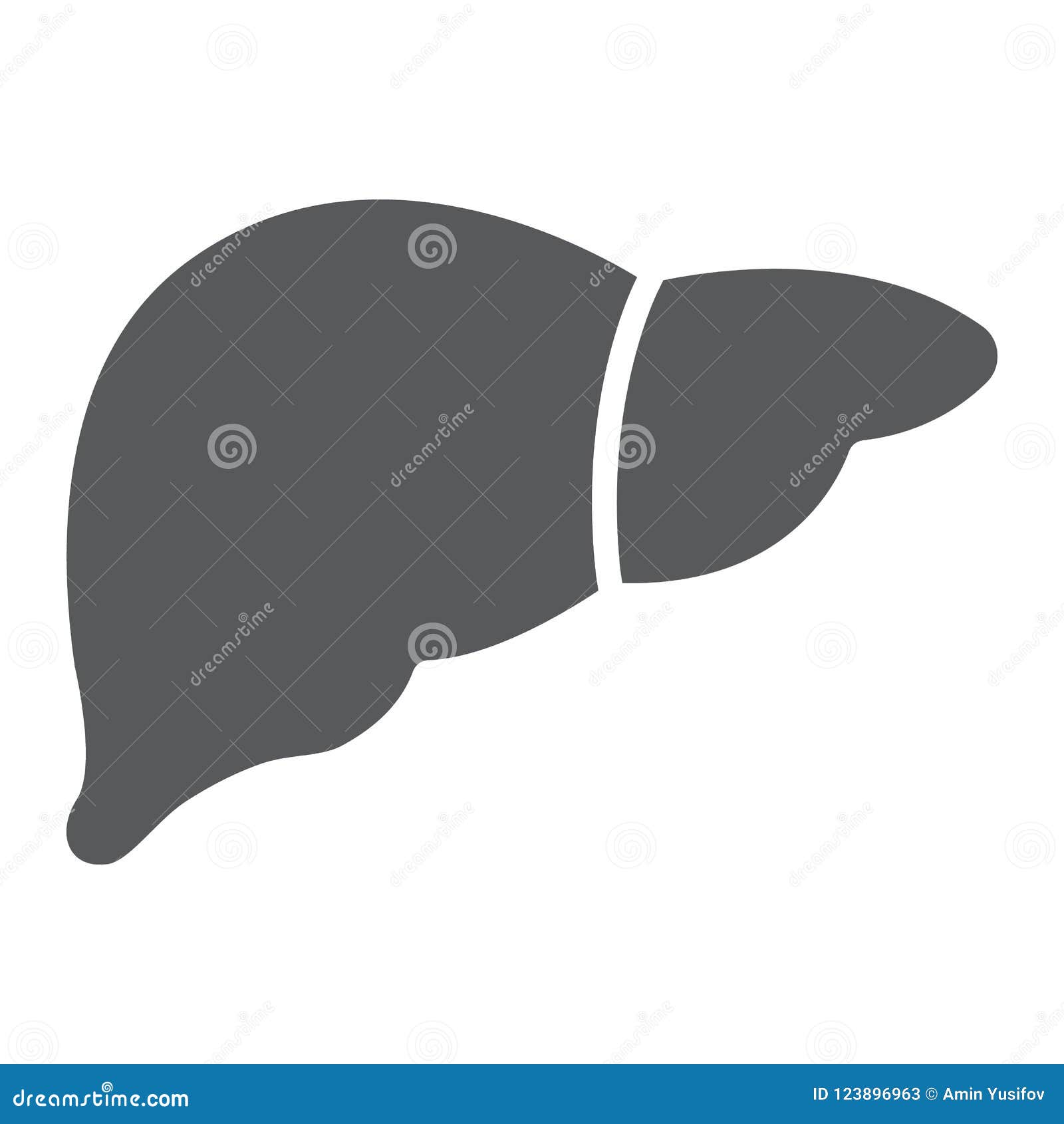 Liver Glyph Icon, Anatomy and Biology, Hepatology Stock Vector ... Liver Glyph Icon, Anatomy and Biology, Hepatology Stock Vector ...