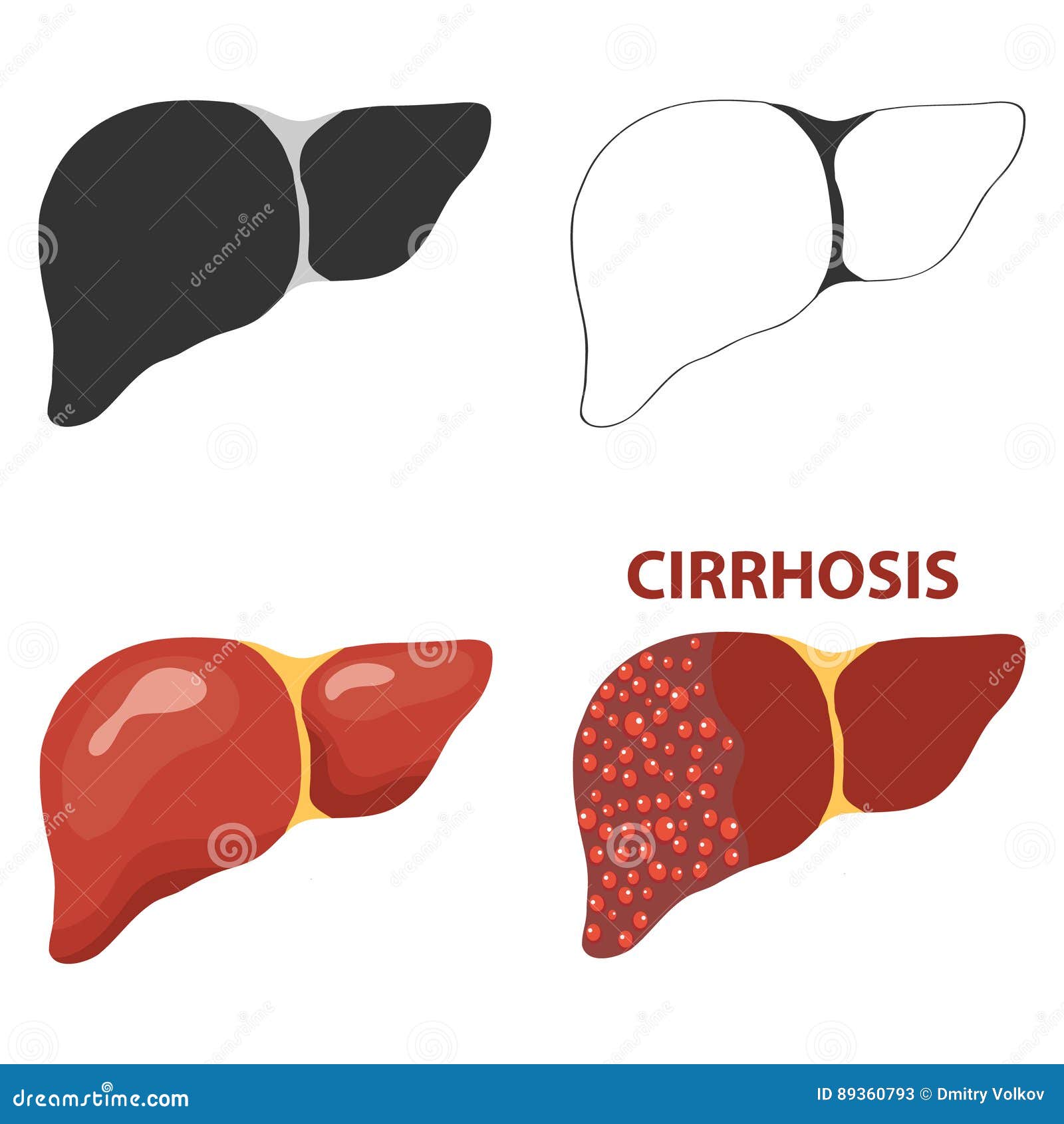 Liver Icon Cartoon Vector | CartoonDealer.com #89360793