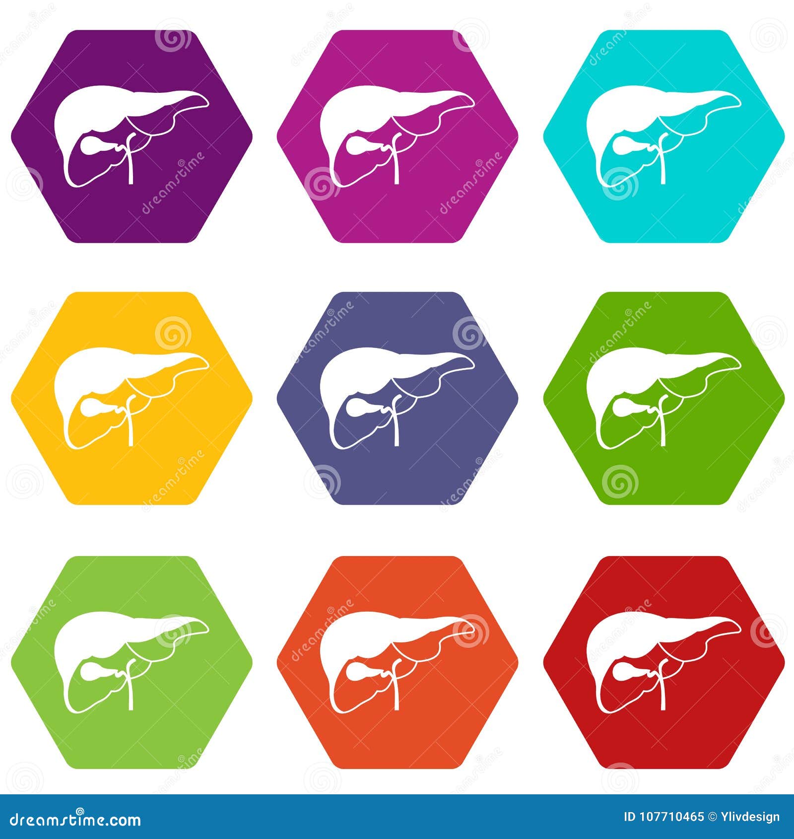 Liver Icon Set Color Hexahedron Stock Vector - Illustration of liver ... Liver Icon Set Color Hexahedron Stock Vector - Illustration of liver ...
