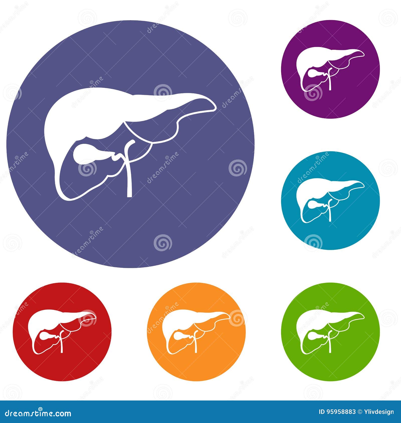 Liver icons set stock vector. Illustration of biology - 95958883