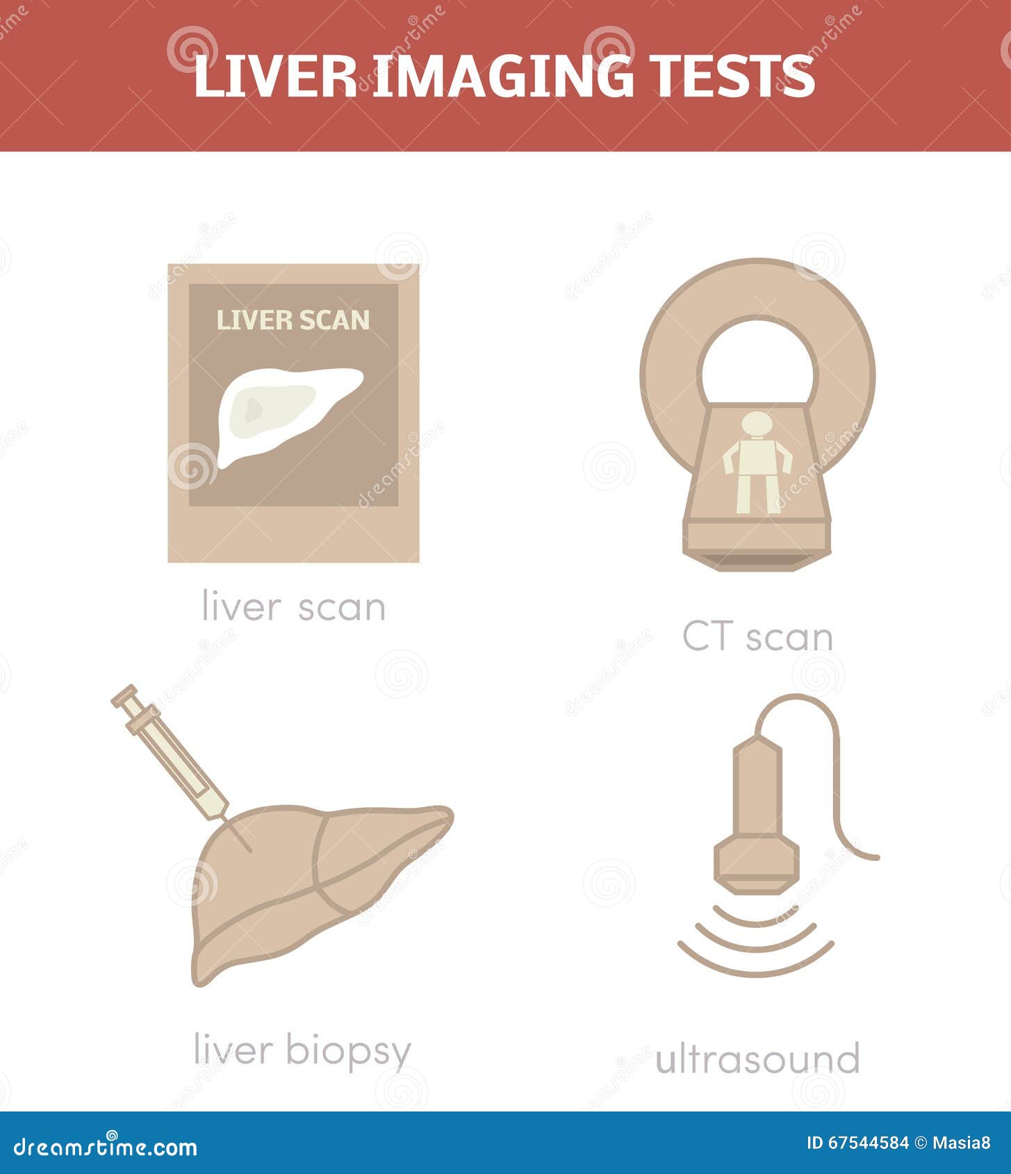 Liver Infographic Stock Image | CartoonDealer.com #69359671