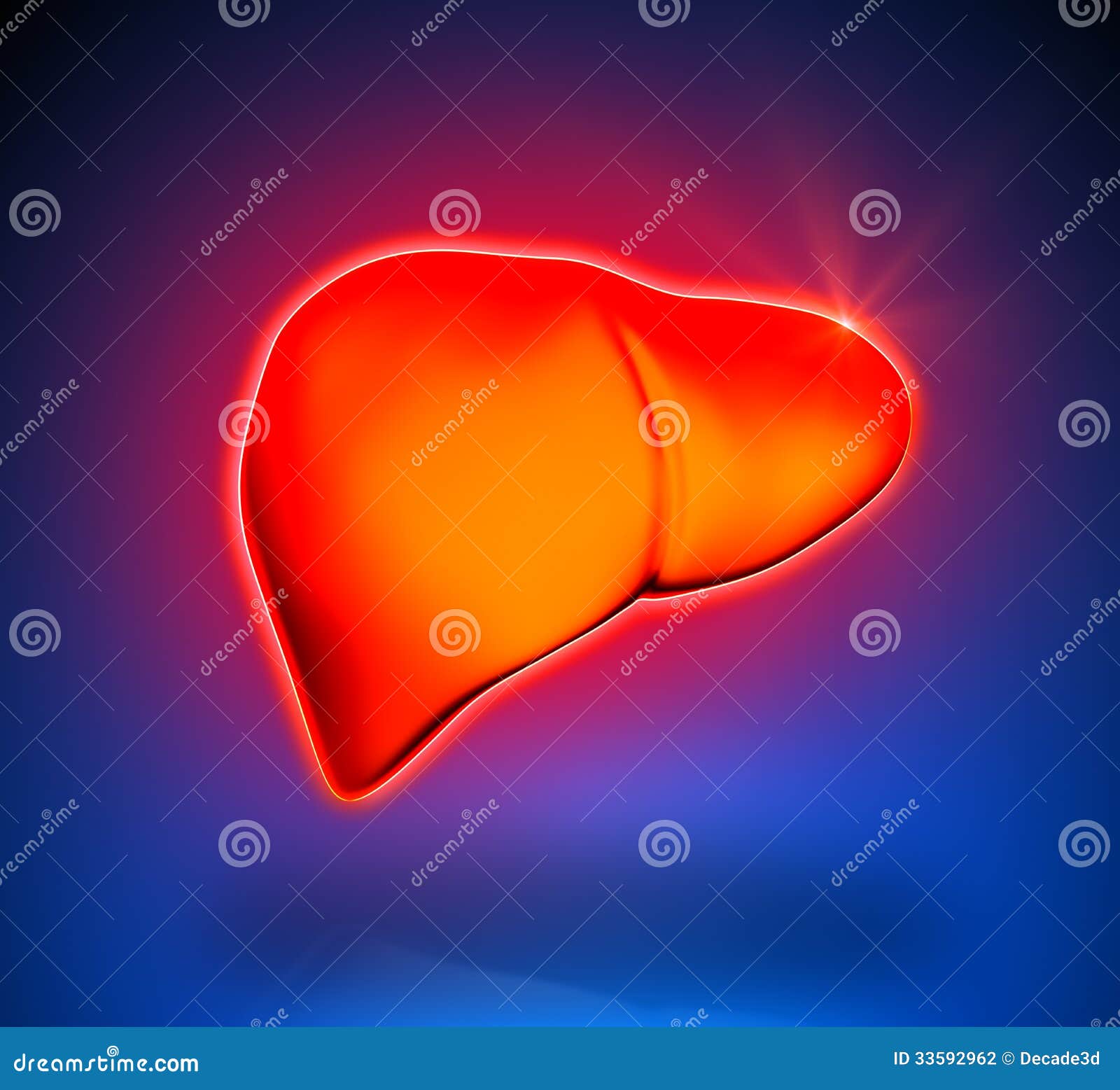 Liver, Internal Organs Anatomy Body Part Nervous System Cartoon Vector ...
