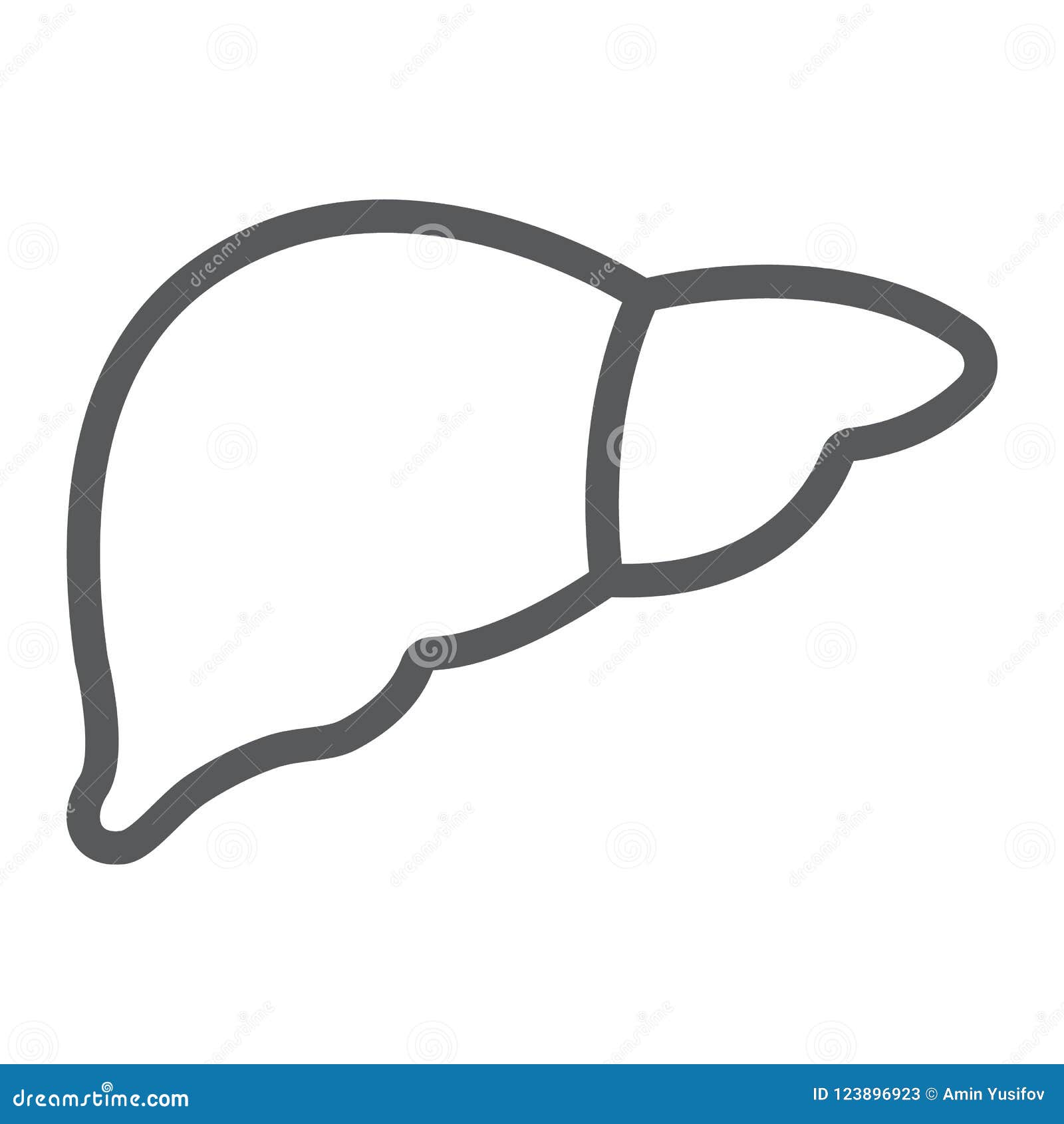 Liver Line Icon, Anatomy and Biology, Hepatology Stock Vector ... Liver Line Icon, Anatomy and Biology, Hepatology Stock Vector ...