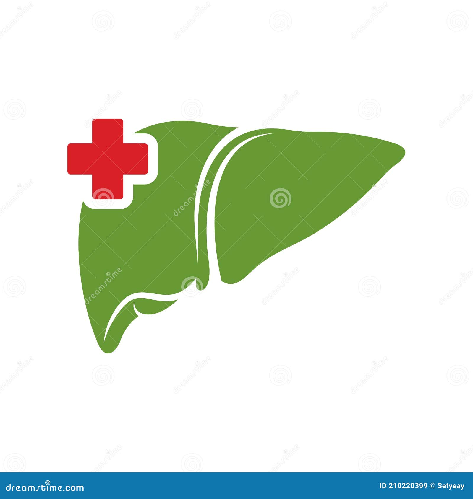 Liver with Medical Plus Logo Vector Template, Creative Liver Logo ...
