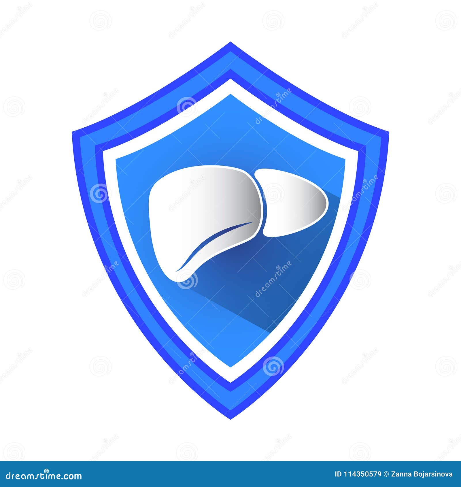 Liver Protection Shield. stock vector. Illustration of healthy - 114350579