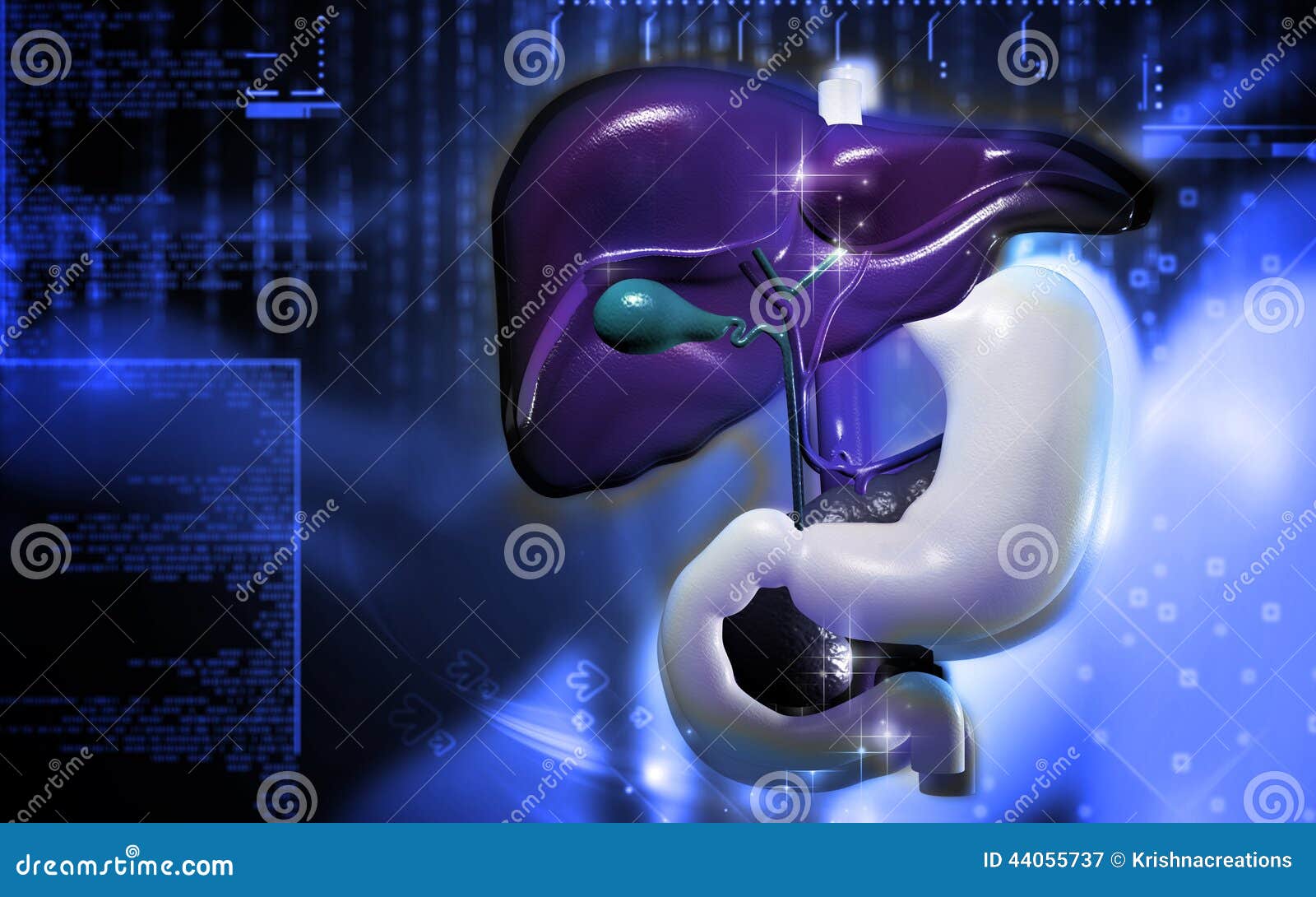 Abstract Liver Stomach Stock Illustrations – 1,493 Abstract Liver ...