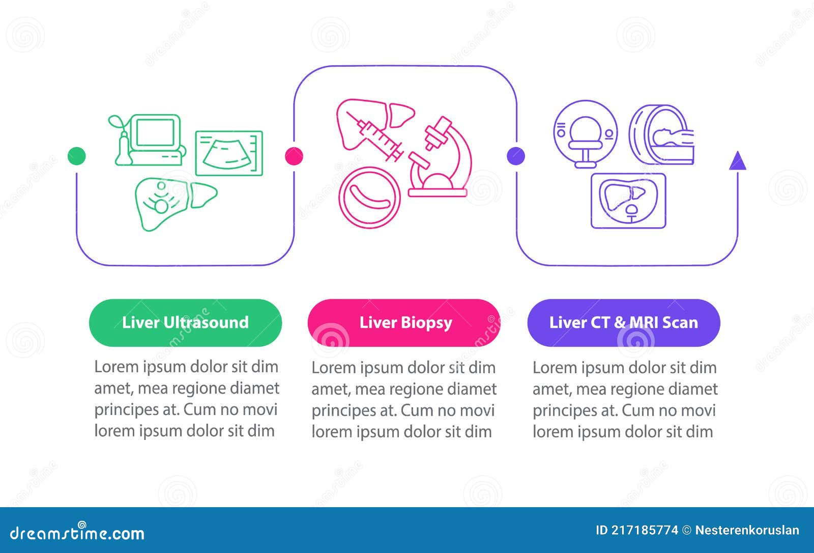 Liver Testing Vector Infographic Template Stock Vector - Illustration ...
