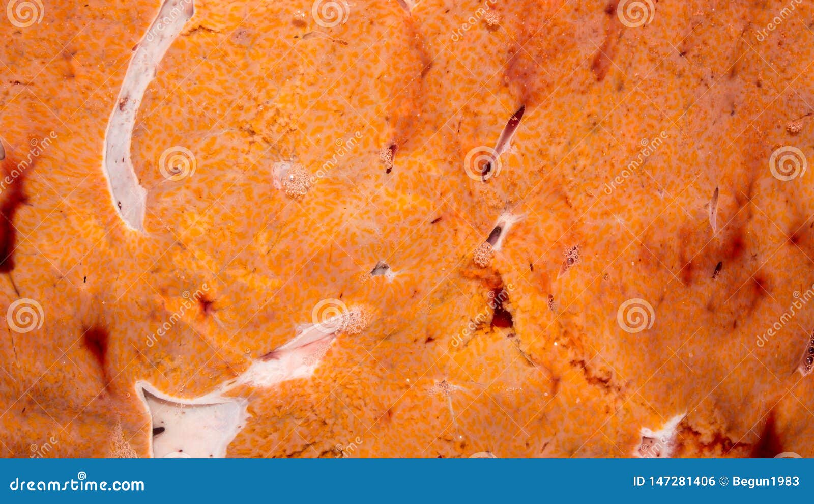 Liver.the Texture of the Liver Stock Photo - Image of meat, liver ...