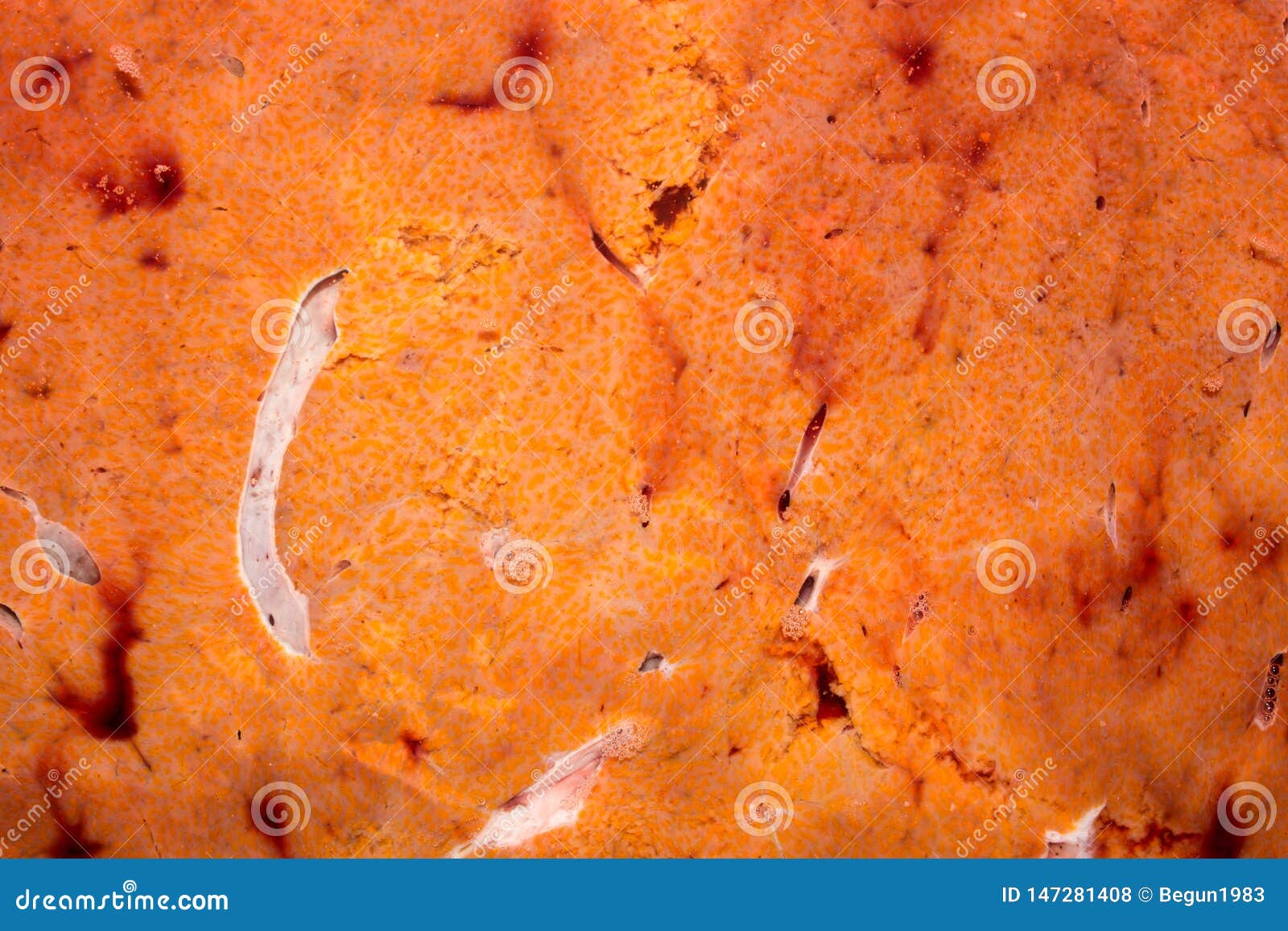 Liver.the Texture of the Liver Stock Photo - Image of cooking, market ...