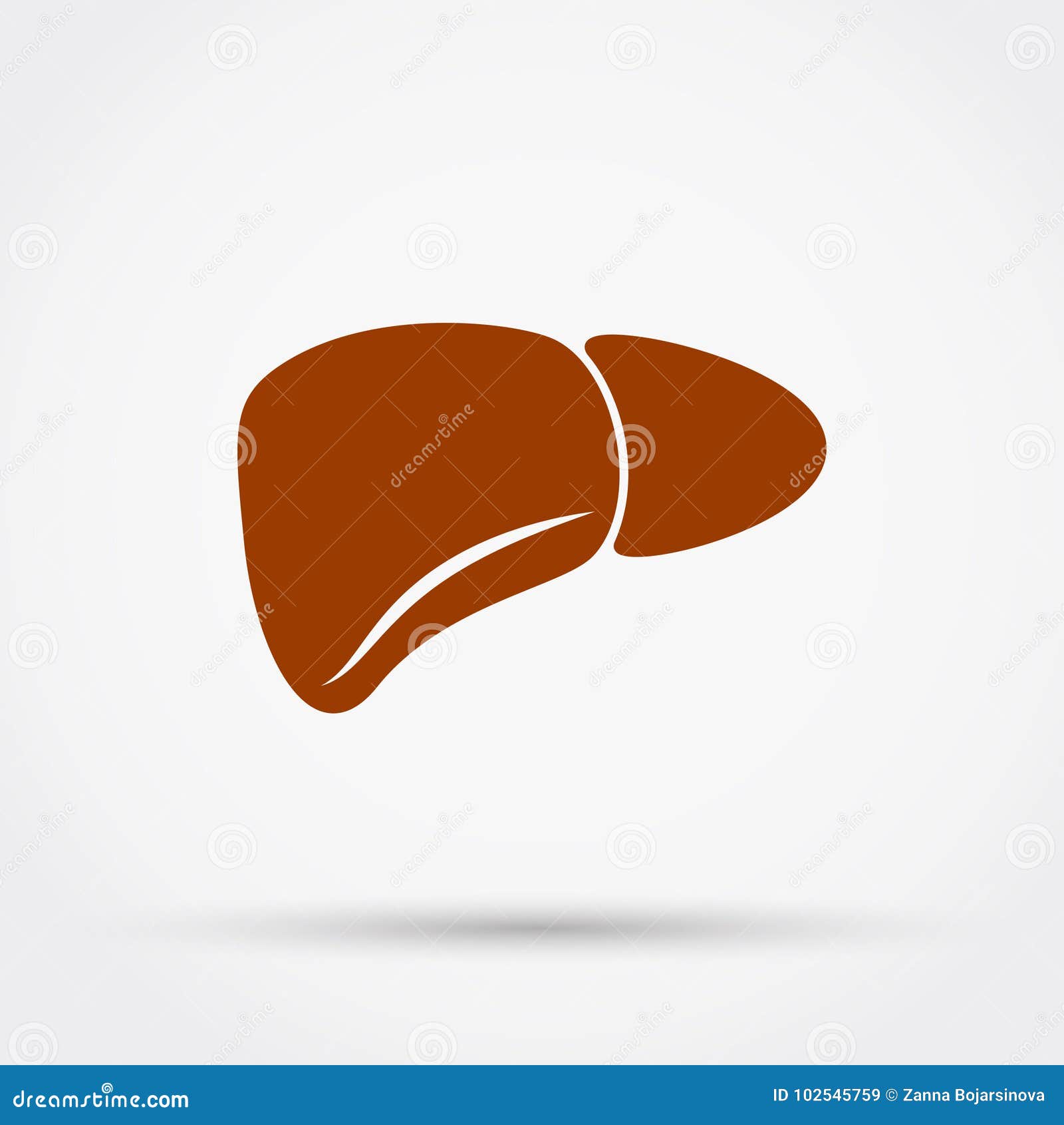 Liver vector icon. stock vector. Illustration of anatomical - 102545759