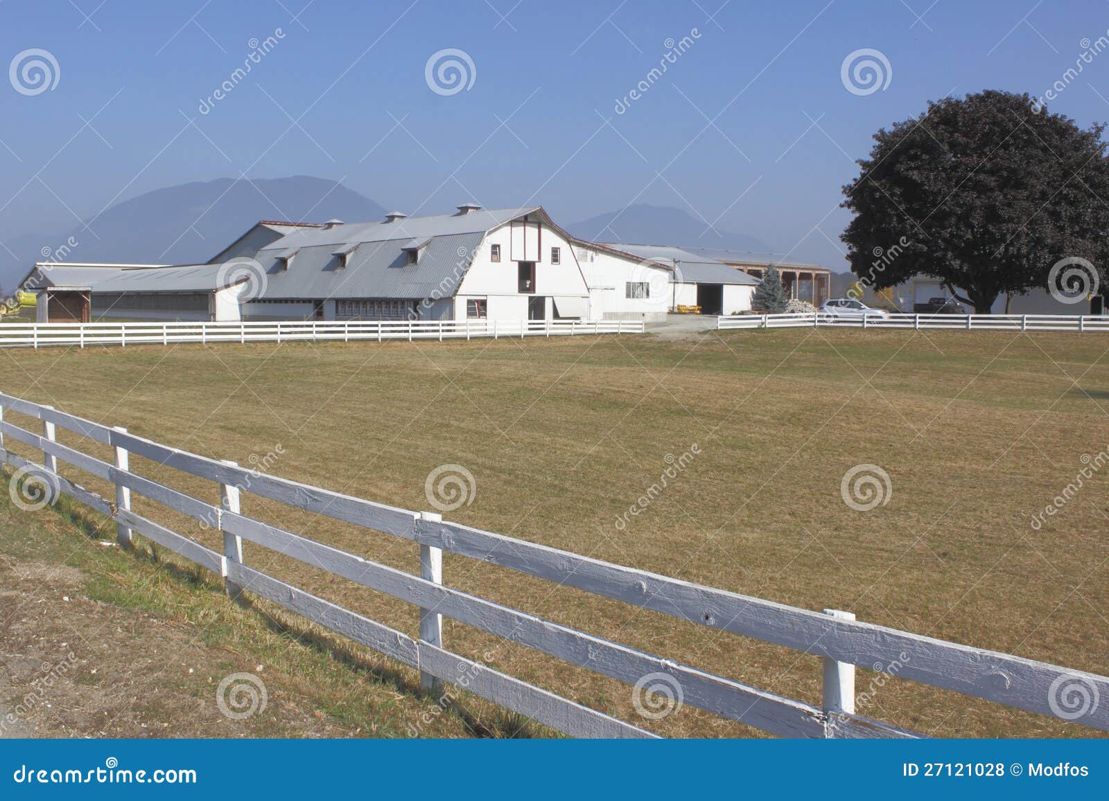 Livestock Corral stock photo. Image of farm, ranch, corral - 27121028