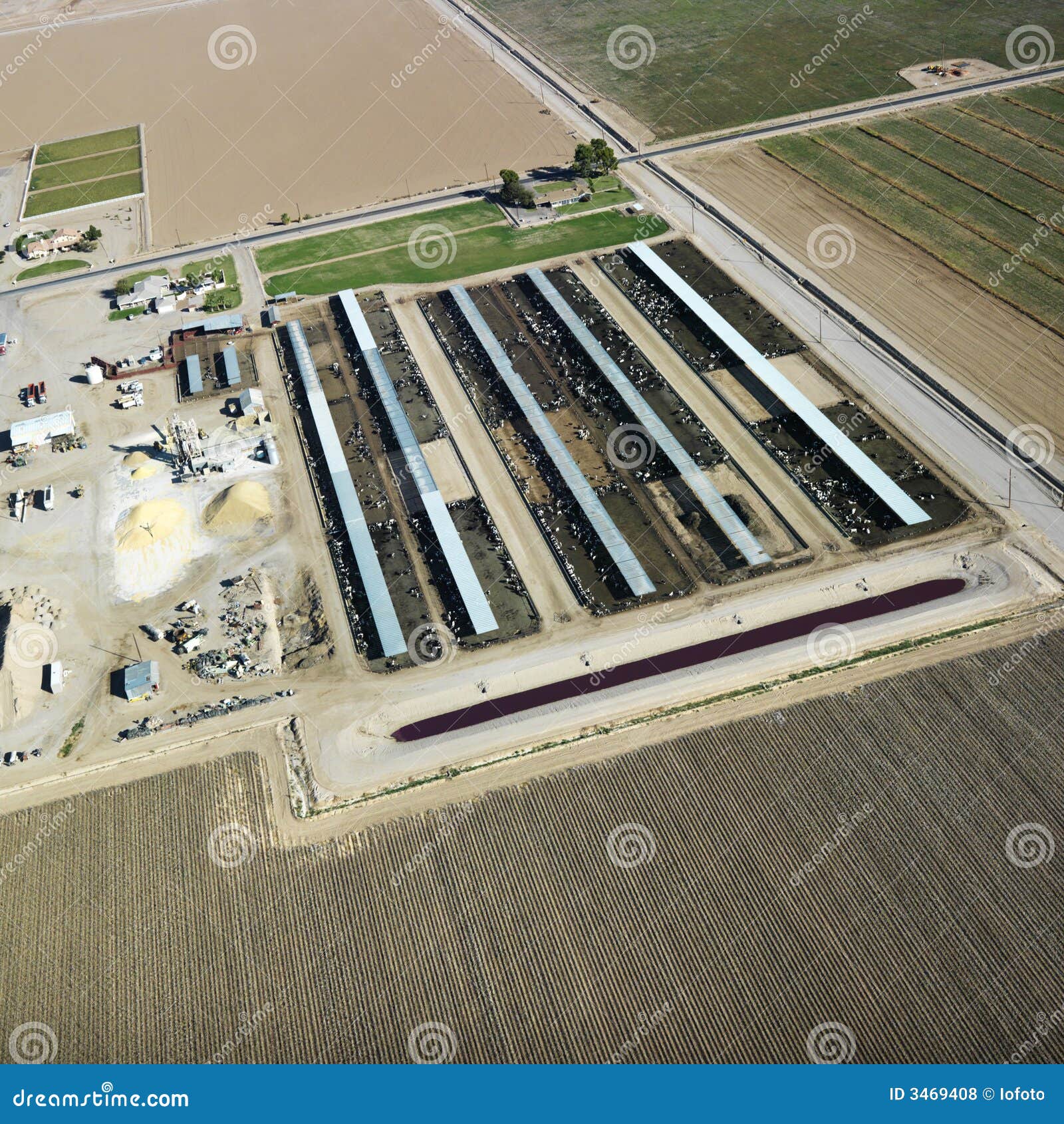 Livestock farm aerial. stock photo. Image of cattle, square - 3469408