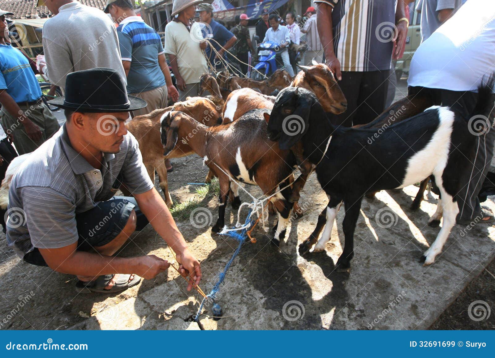 Livestock market editorial stock image. Image of indonesia - 32691699