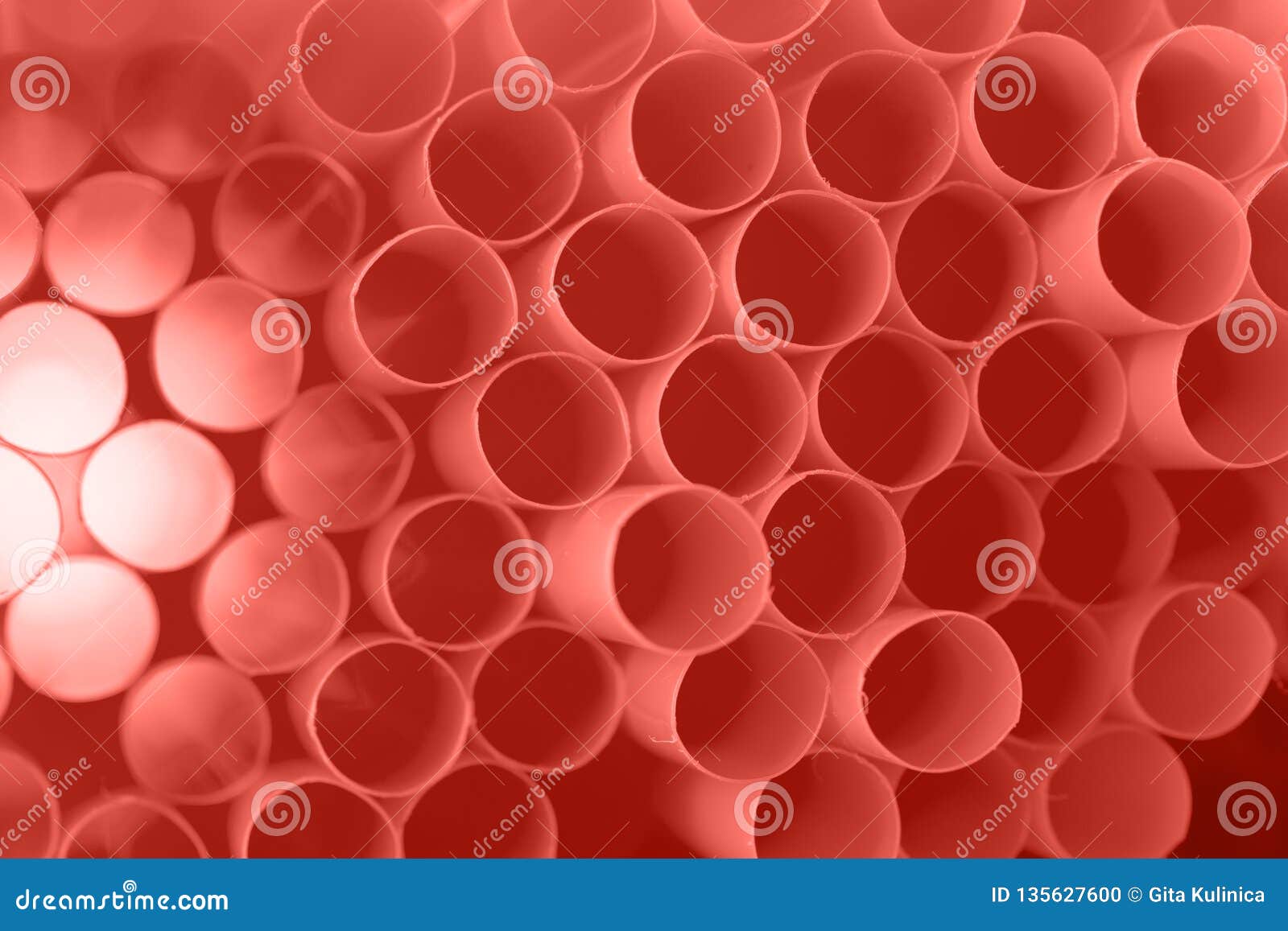 Living Coral Abstract Pattern. Background Design Stock Photo - Image of ...