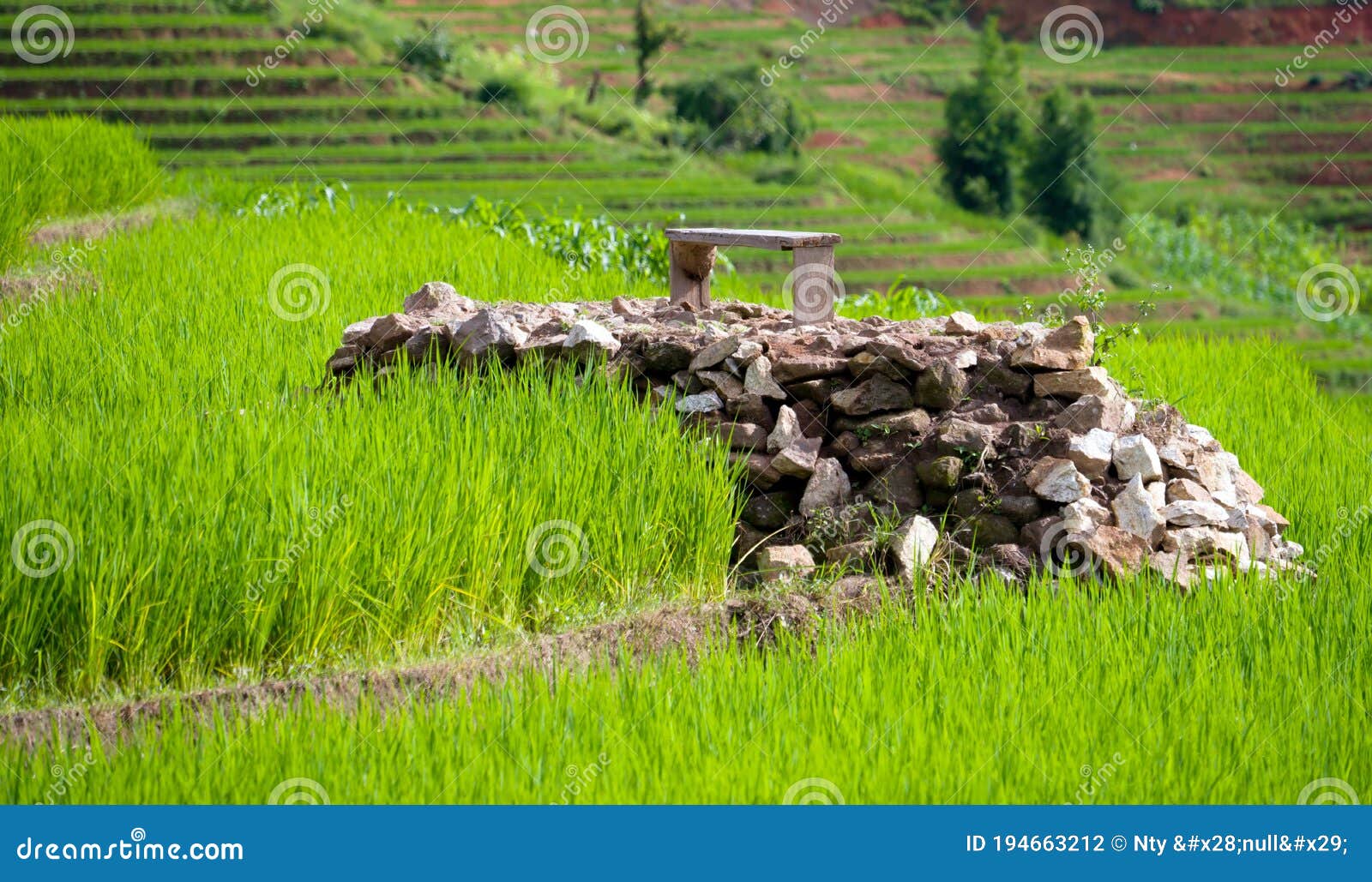 Living corner stock photo. Image of decorative, environment - 194663212