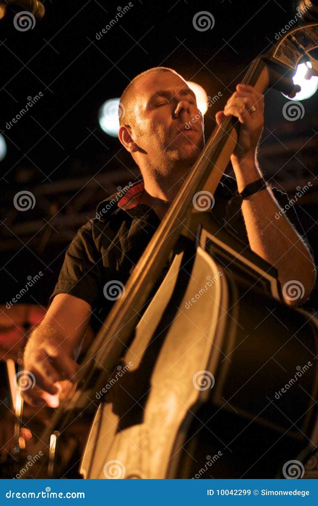 The Living End editorial stock image. Image of nibe, performance - 10042299