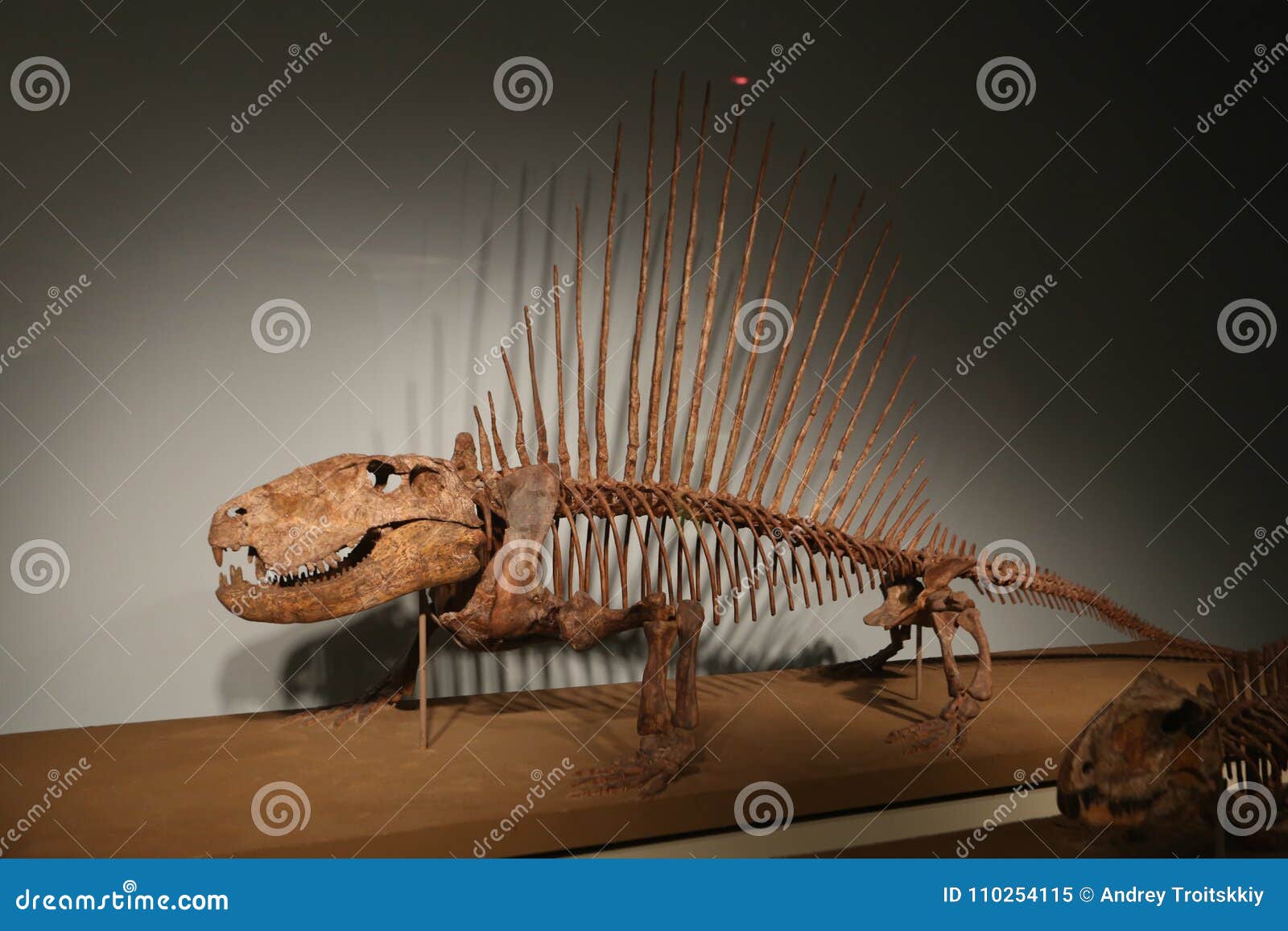 Edaphosaurids editorial image. Image of fossilized, mesozoic - 110254115