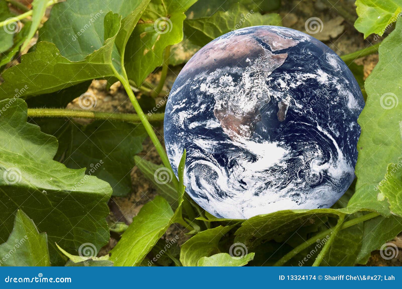 Living Planet Earth stock photo. Image of continent, green - 13324174