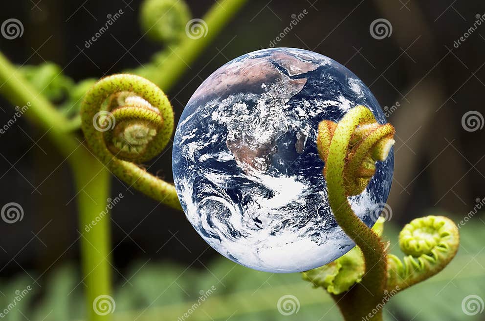 Living Planet Earth stock image. Image of macro, continents - 13324351