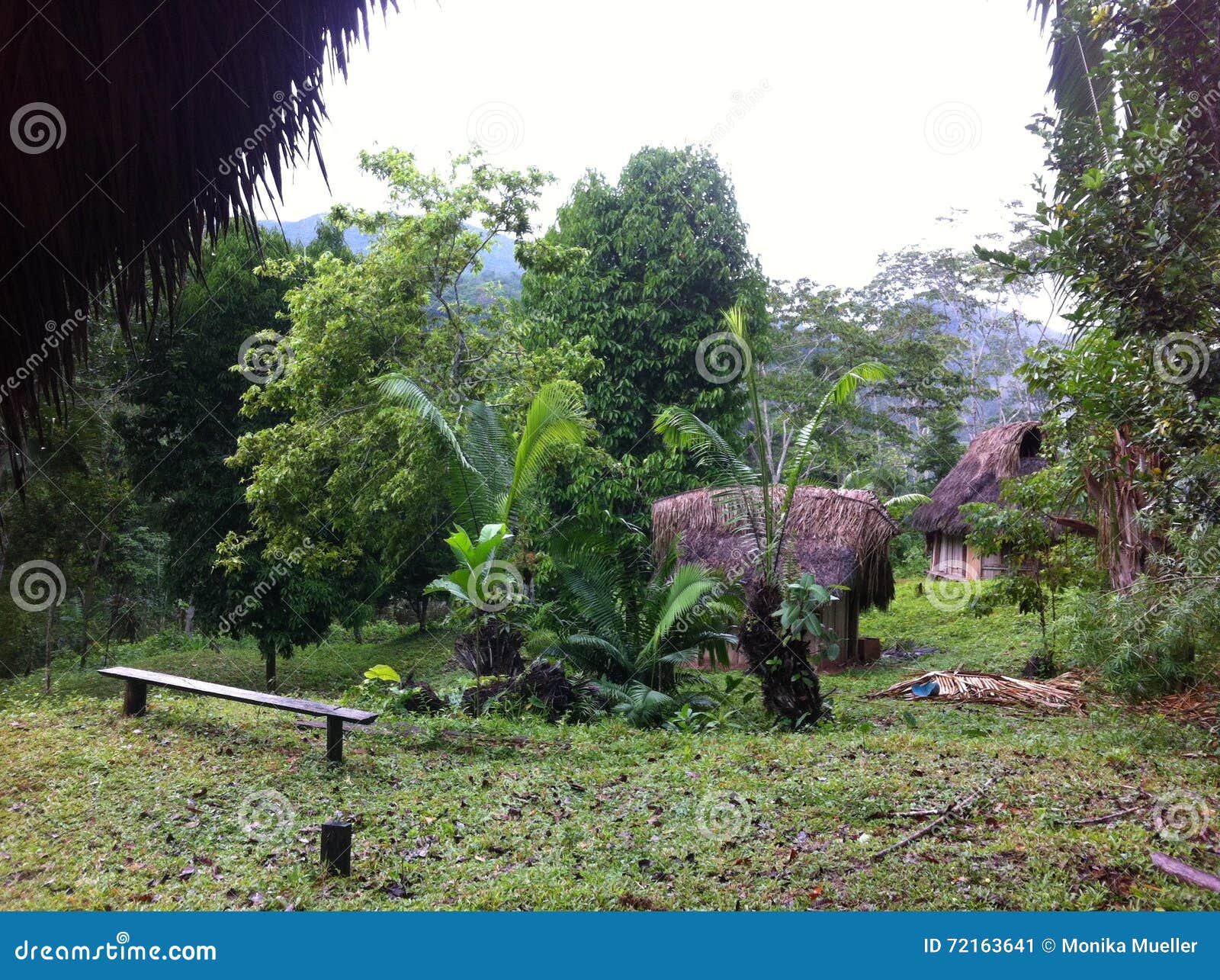 Living in the Rainforest in Peru Stock Image - Image of solitude ...