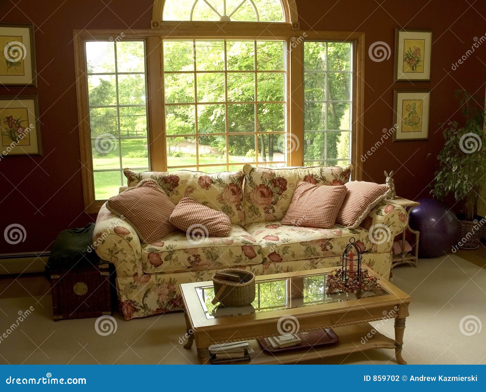 Living Room stock photo. Image of house, real, walls, estate - 859702