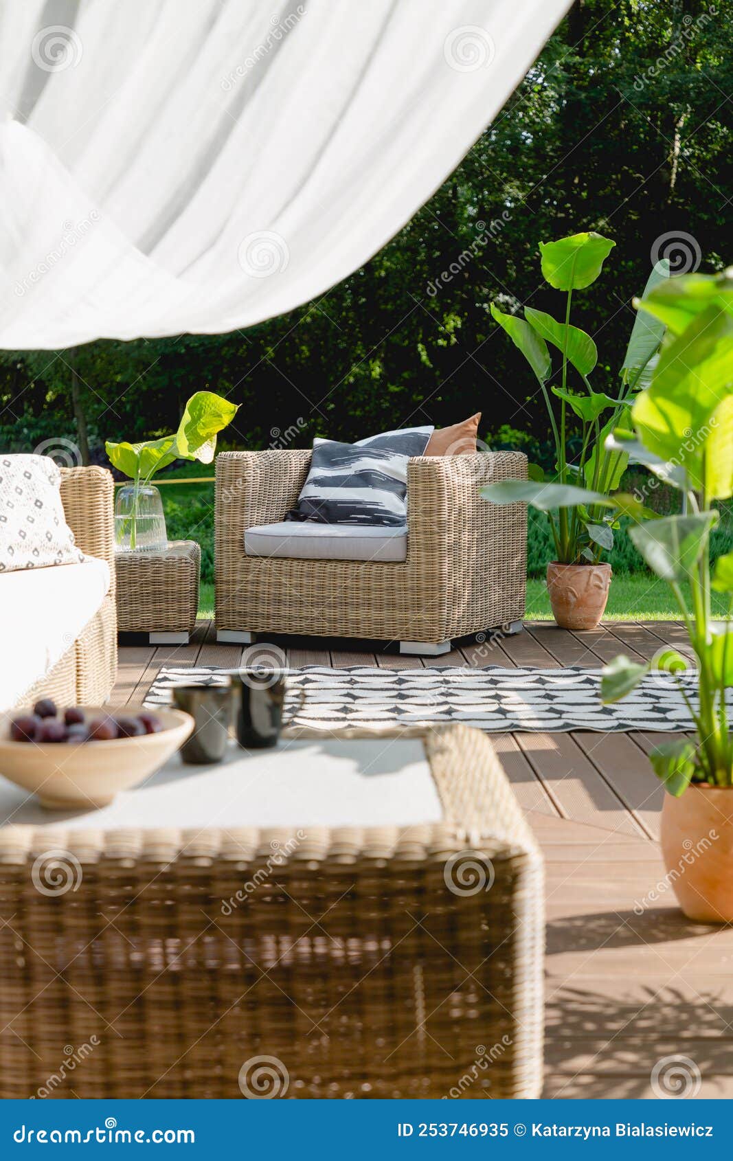 Living room in the garden stock image. Image of home - 253746935