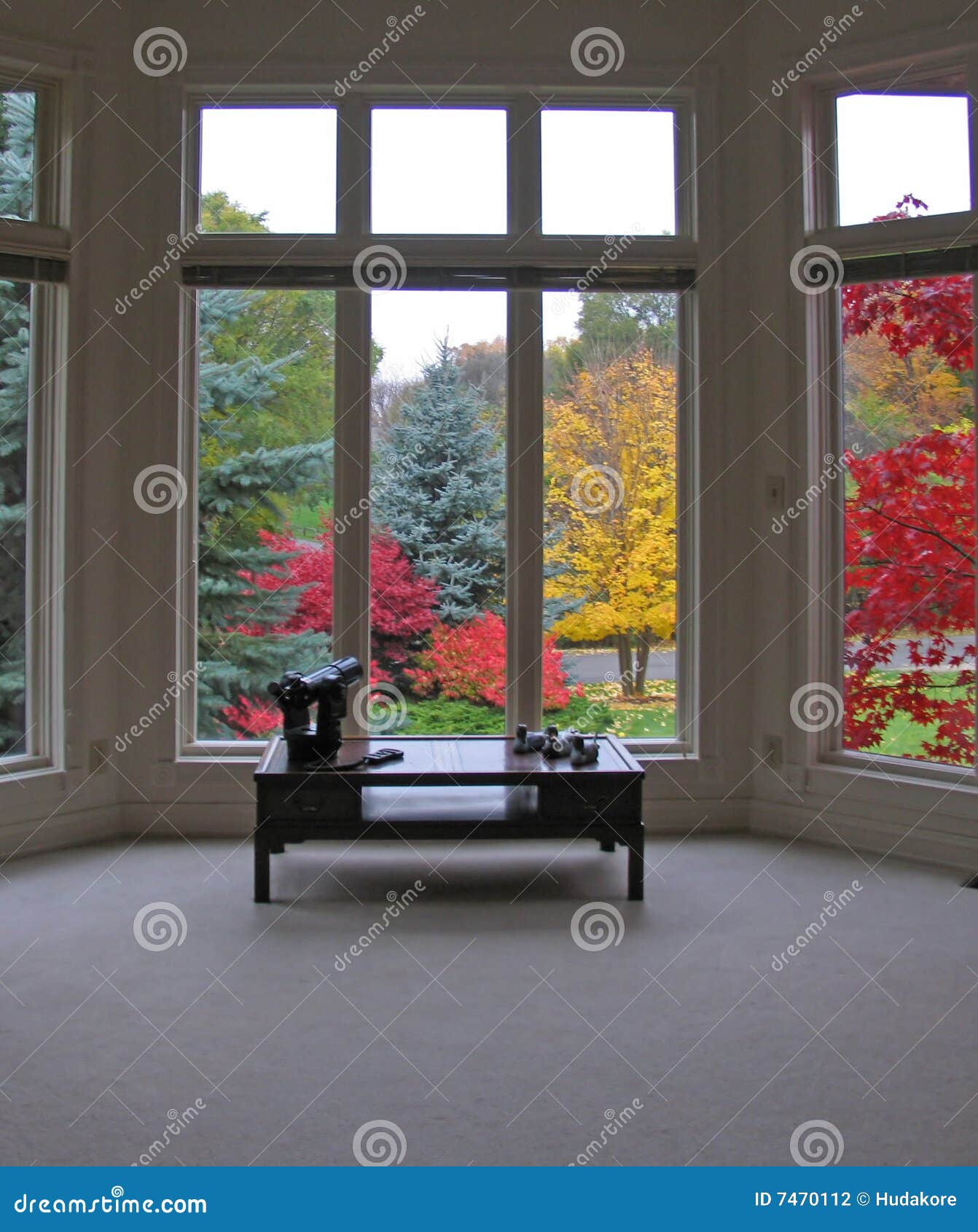 Living Room Scenery stock photo. Image of photograph, trees - 7470112