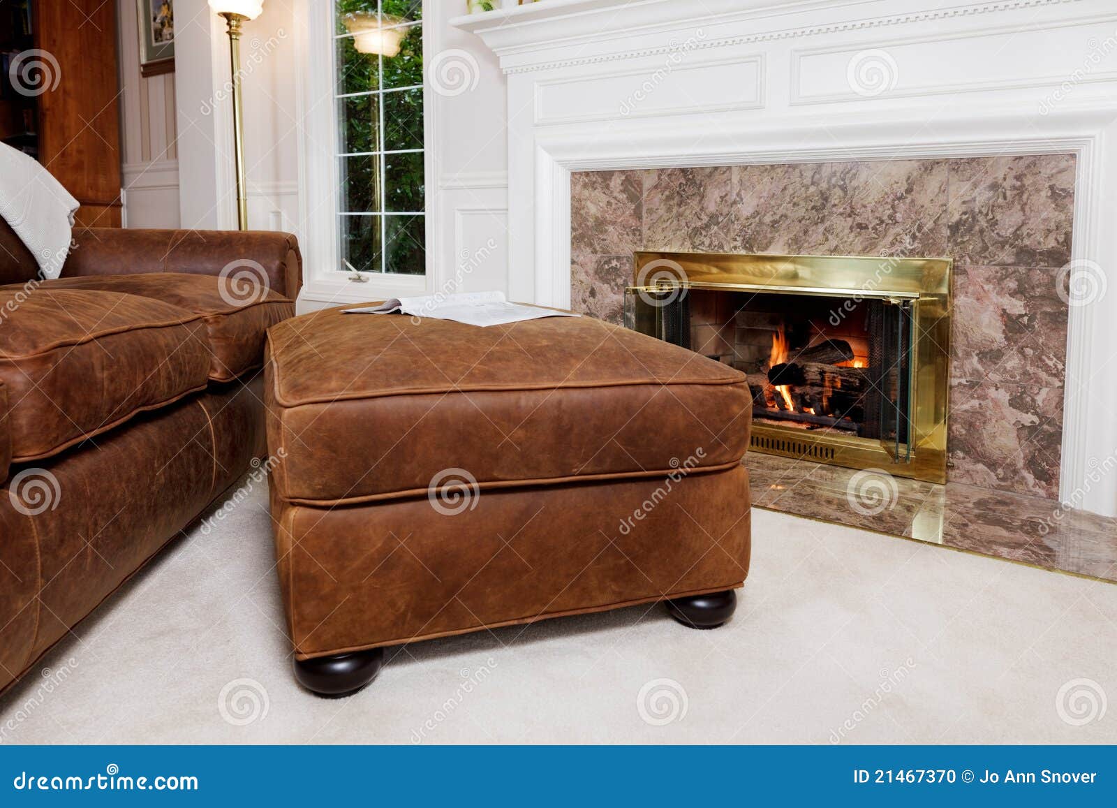 Living room sofa and fire stock photo. Image of room - 21467370