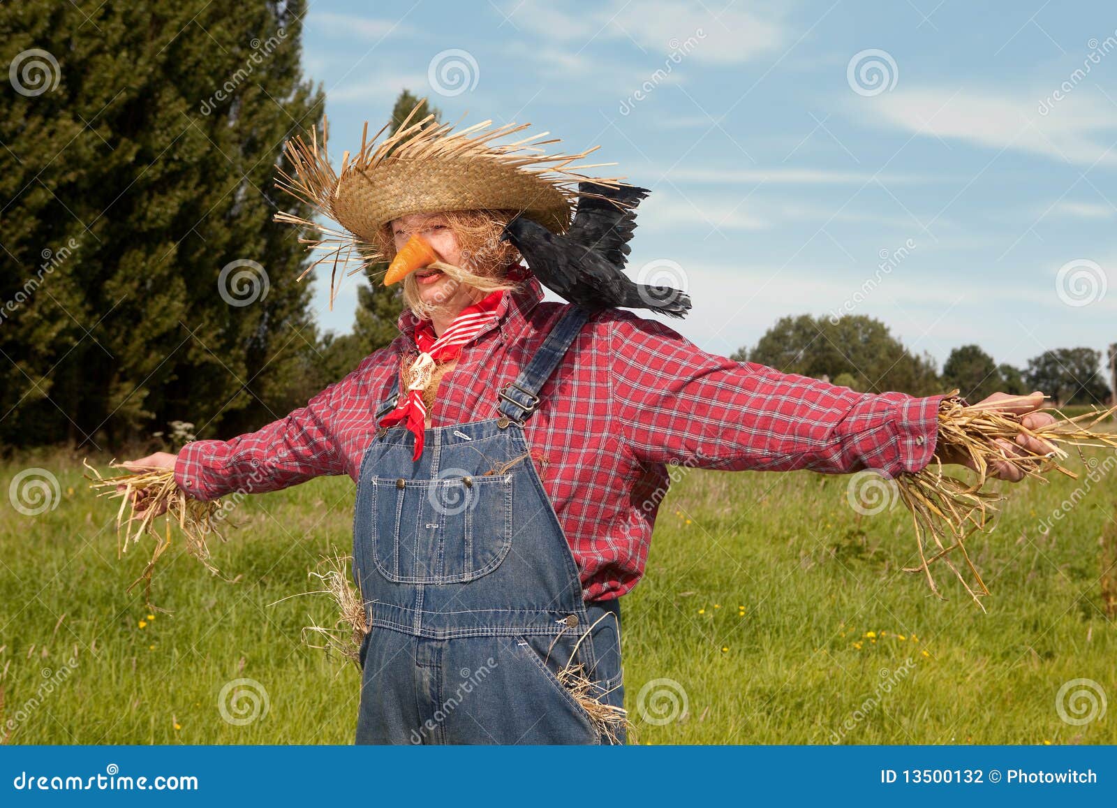 Living scarecrow stock photo. Image of outdoor, human - 13500132
