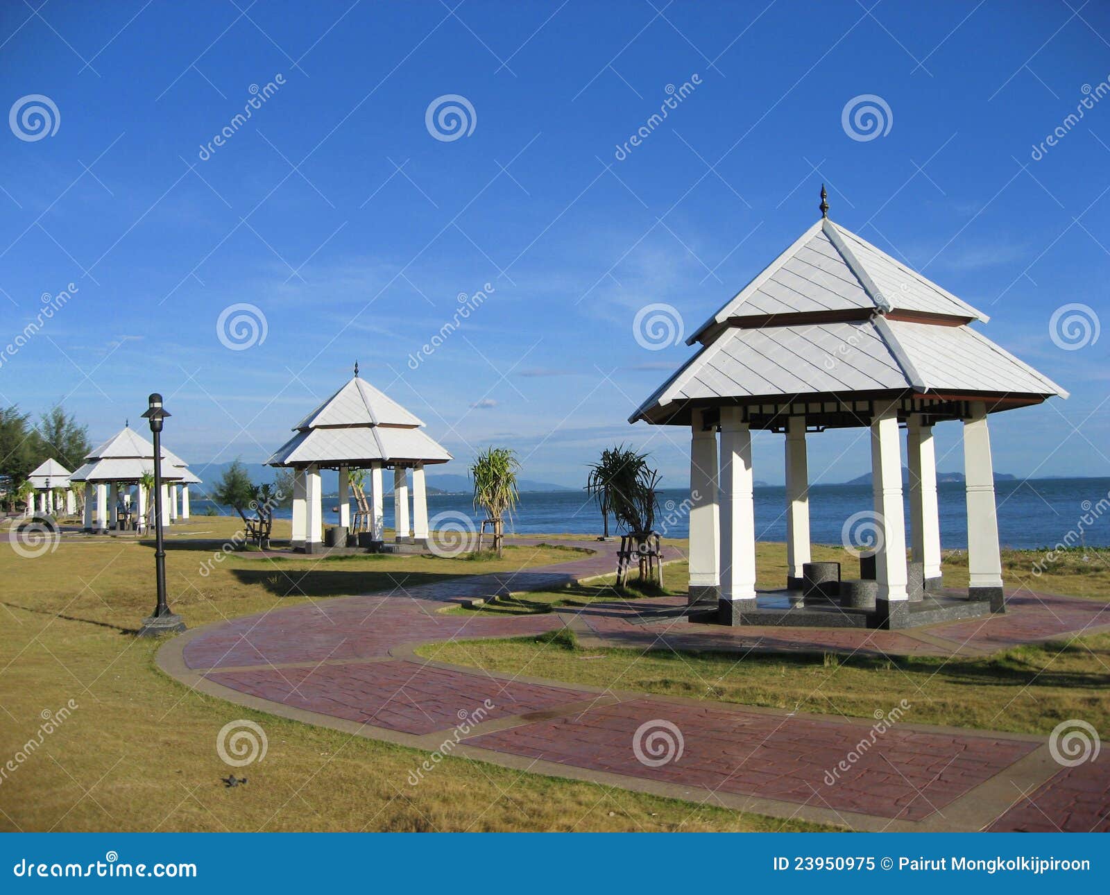 Living Sea Rim State Park stock image. Image of design - 23950975