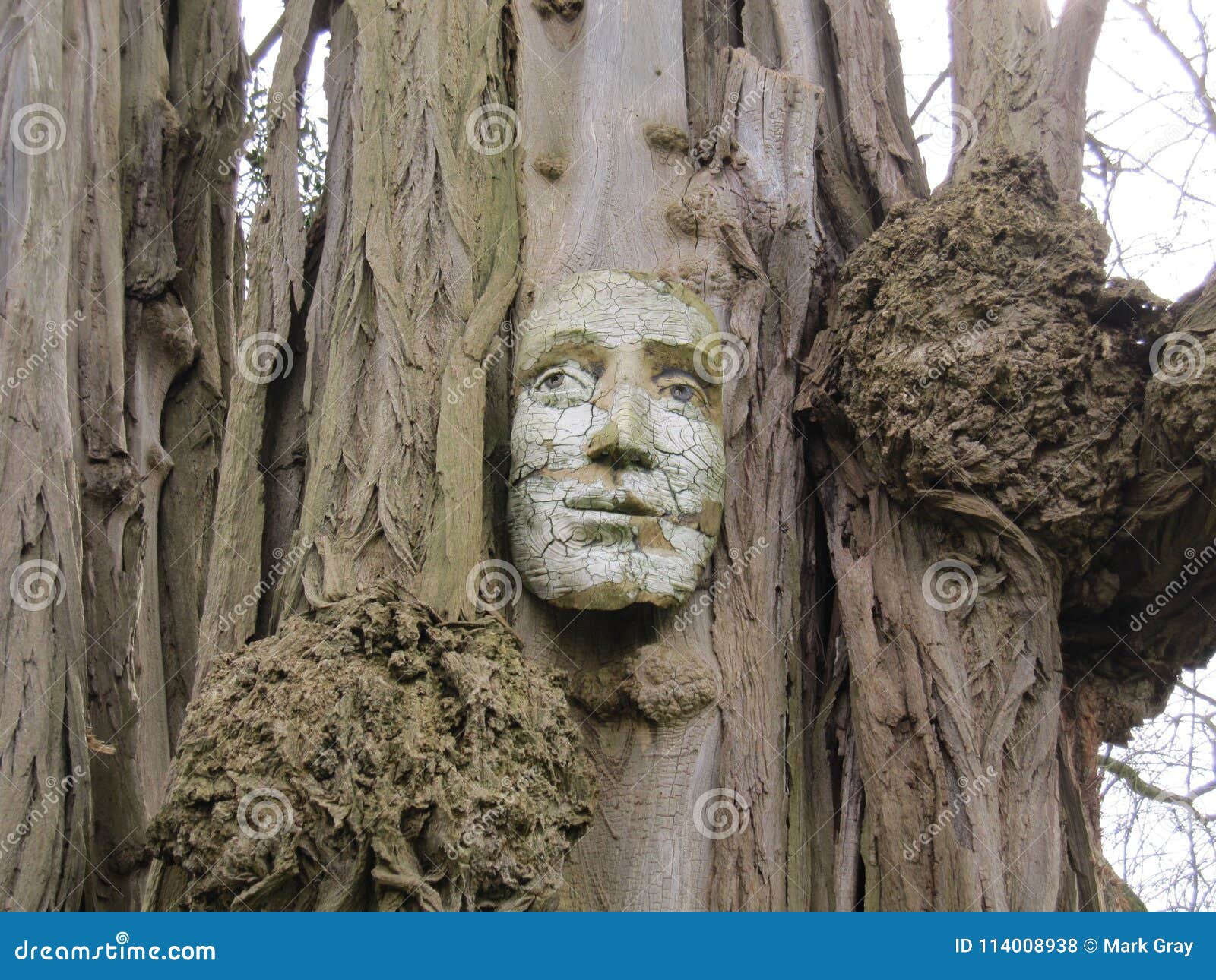 Living Tree stock photo. Image of face, sculpture, tree - 114008938