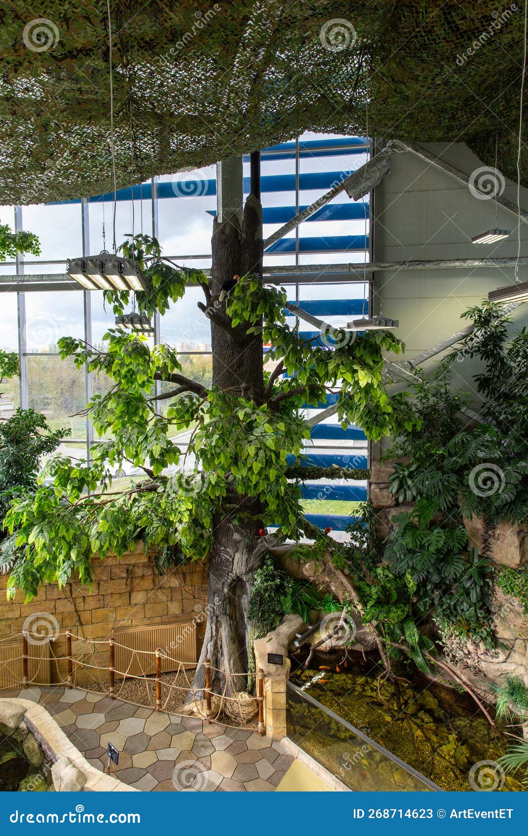 Living Tree Inside Modern Building Stock Image - Image of interior ...
