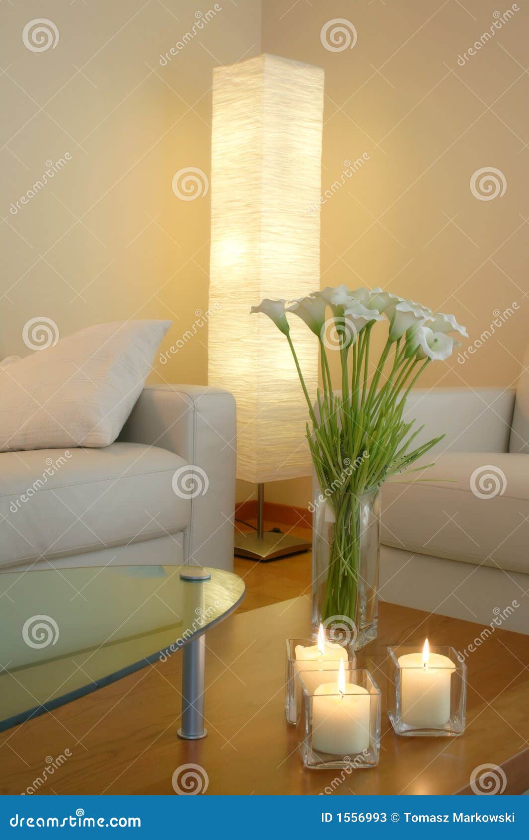 Livingroom in the evening stock image. Image of decor - 1556993