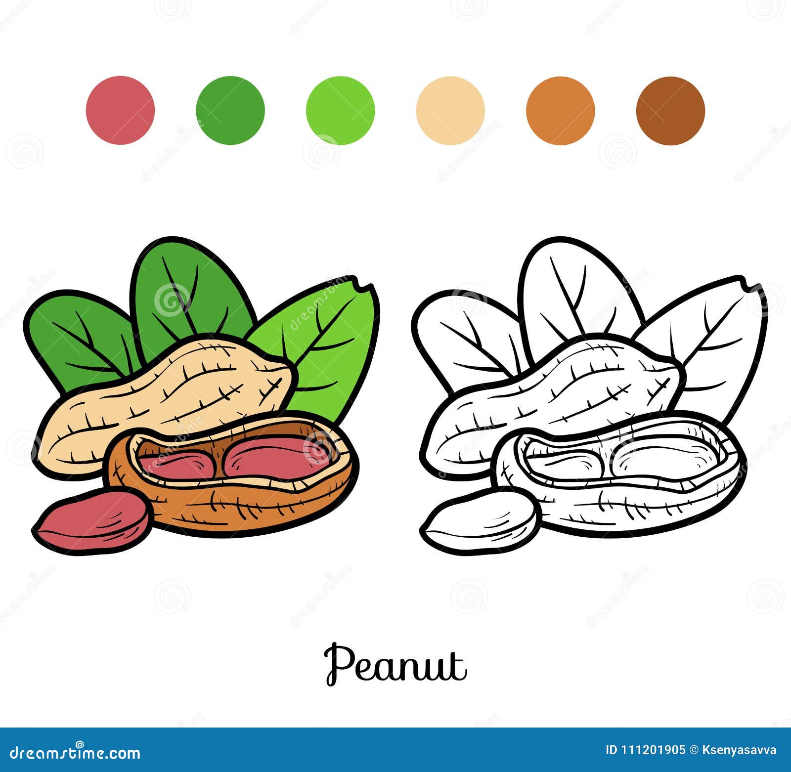 Arachide Stock Illustrations, Vecteurs, & Clipart – (11,772 Stock ...