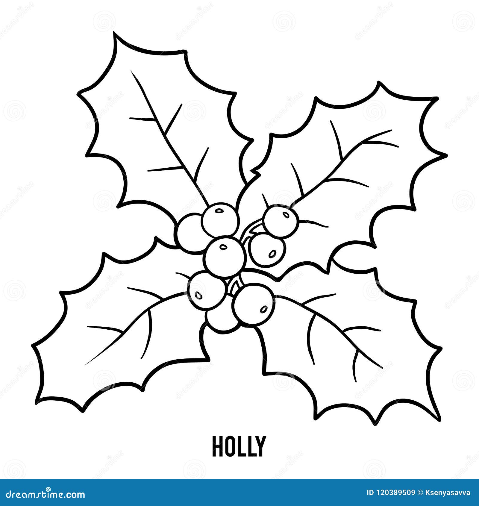 Livre De Coloriage, Branche De Houx Illustration de Vecteur ...