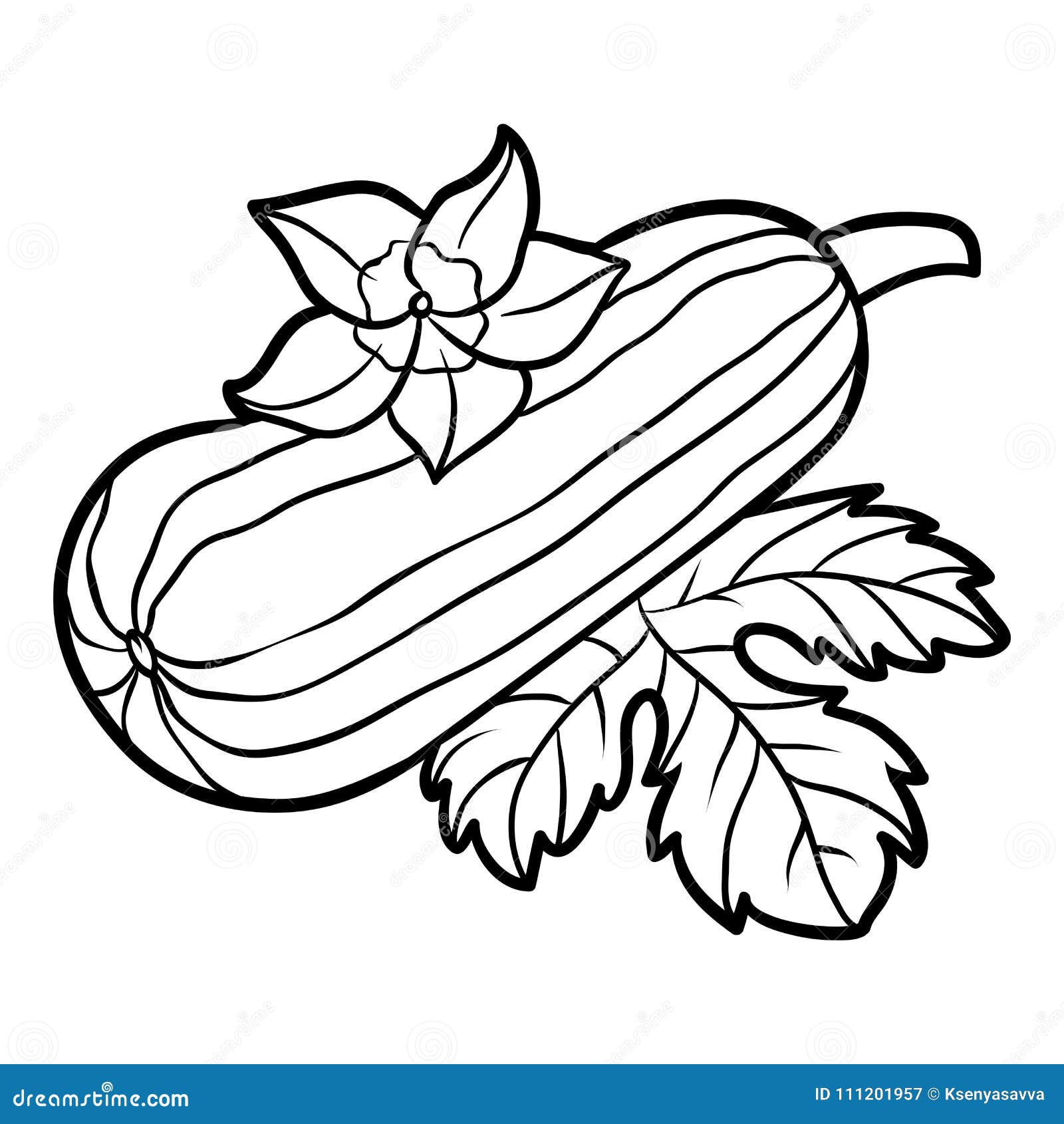 Coloriages De Courges