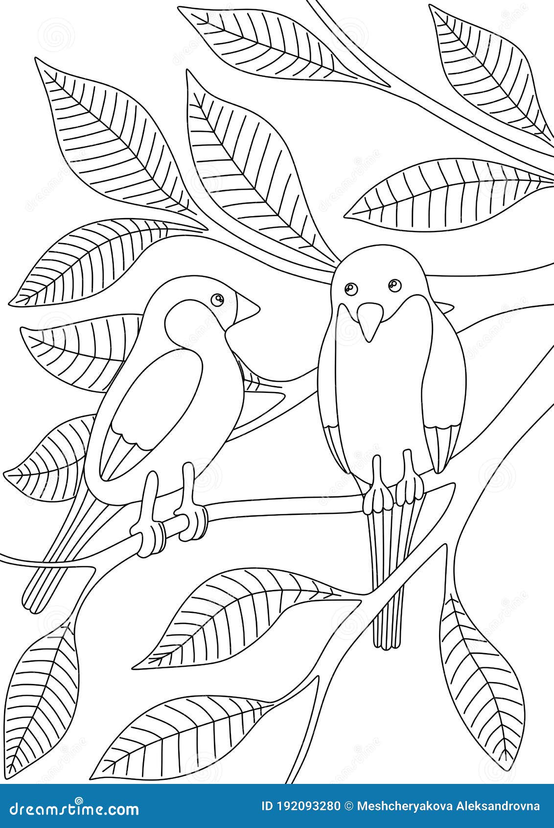 Livre De Coloriage Des Enfants Avec Des Oiseaux Sur Les Branches