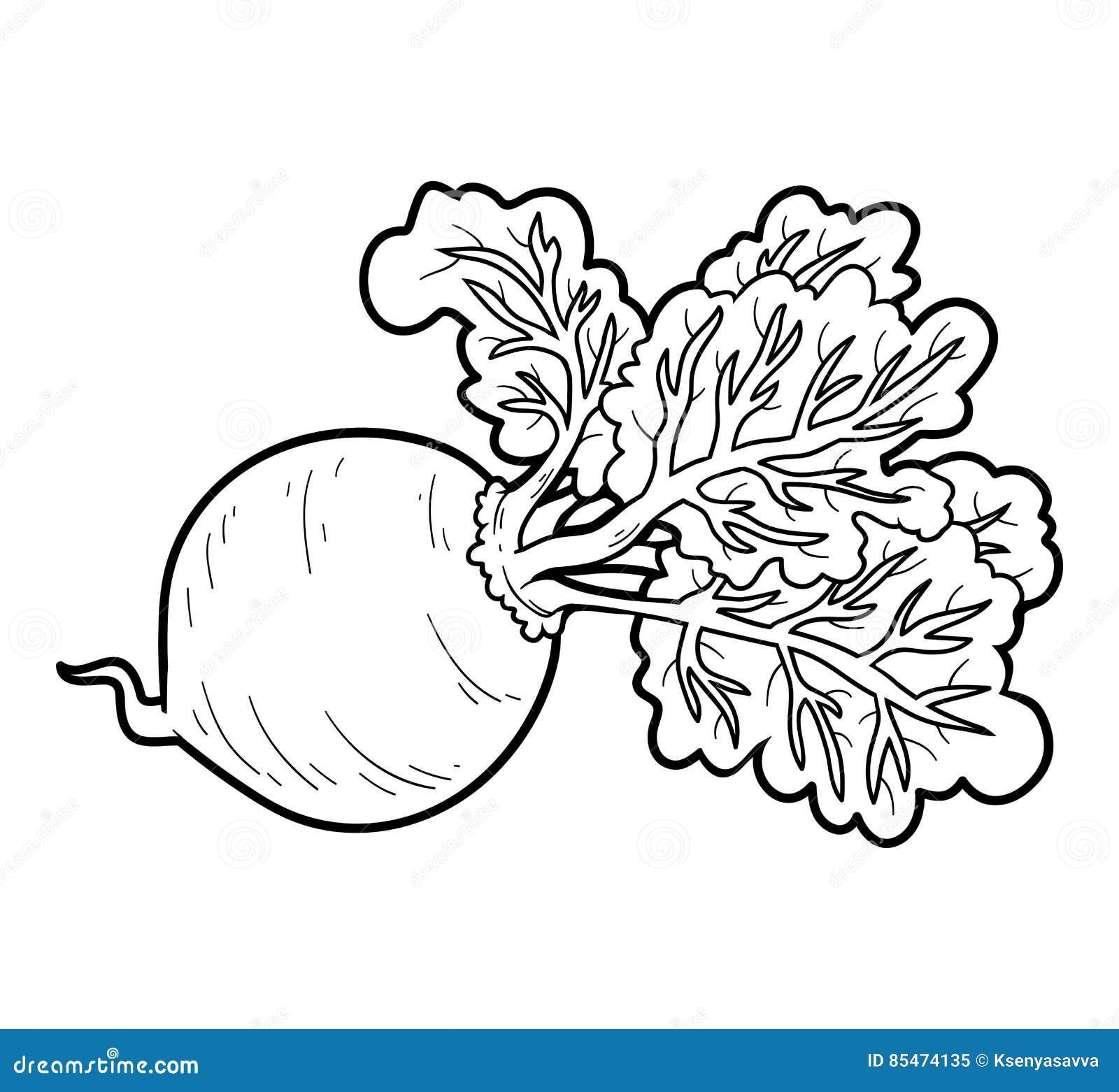 Livre De Coloriage, Légumes, Betterave Illustration de Vecteur - Illustration du agriculture ...