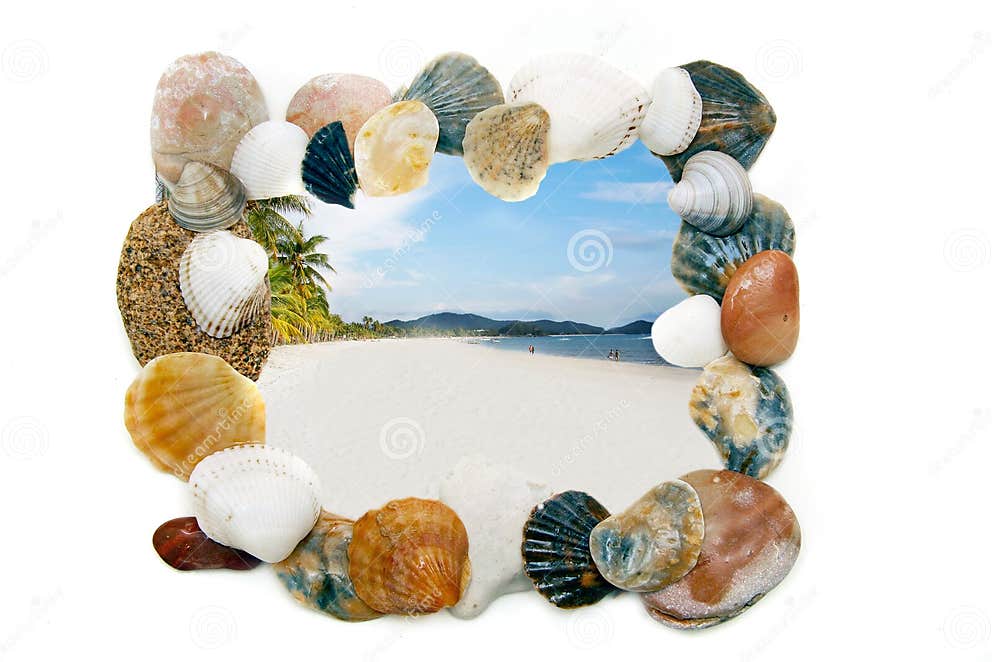 Lixe a Praia No Frame Dos Seashells E Das Pedras Foto de Stock - Imagem ...