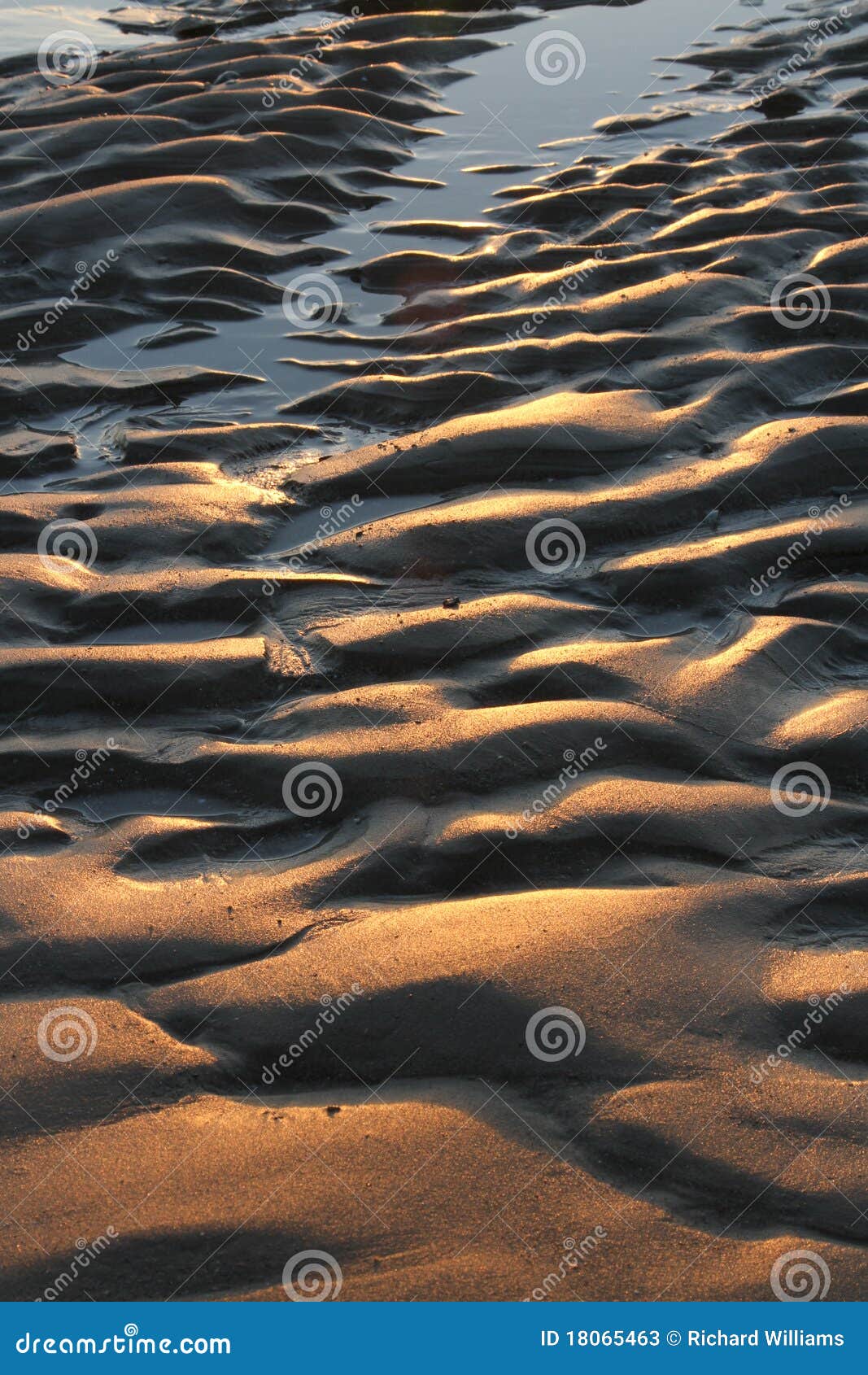 Lixe texturas. imagem de stock. Imagem de fundo, curvas - 18065463