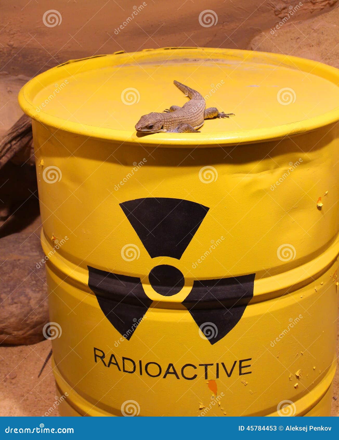 Lizard on a barrel stock image. Image of animal, dump - 45784453