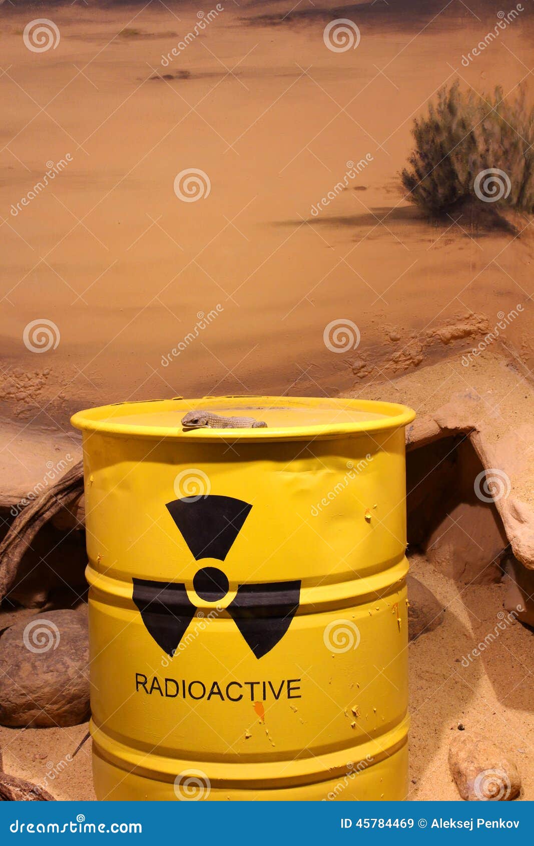 Lizard on a barrel stock image. Image of container, environmental ...