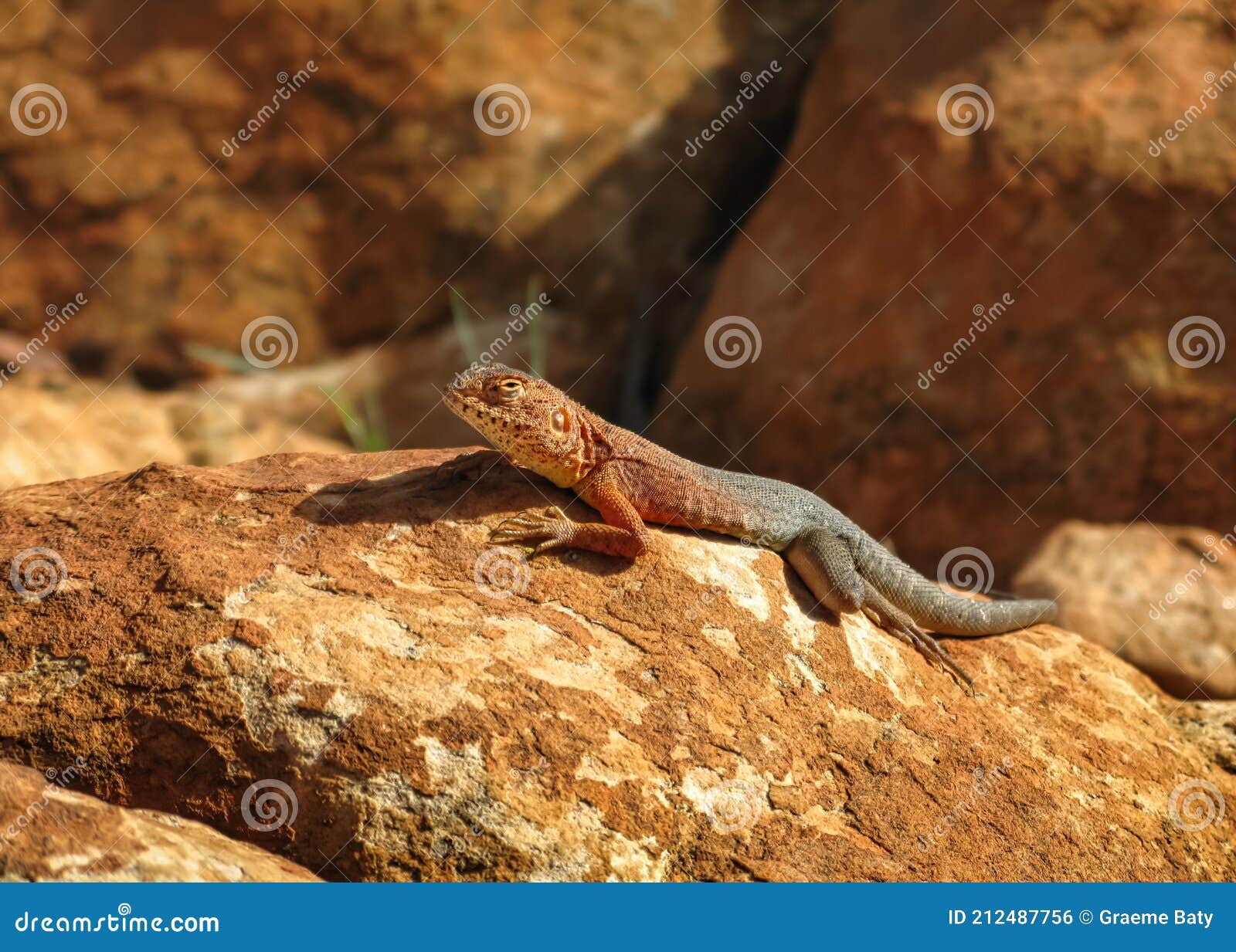 Territories Nt Stock Photos - Free & Royalty-Free Stock Photos from ...